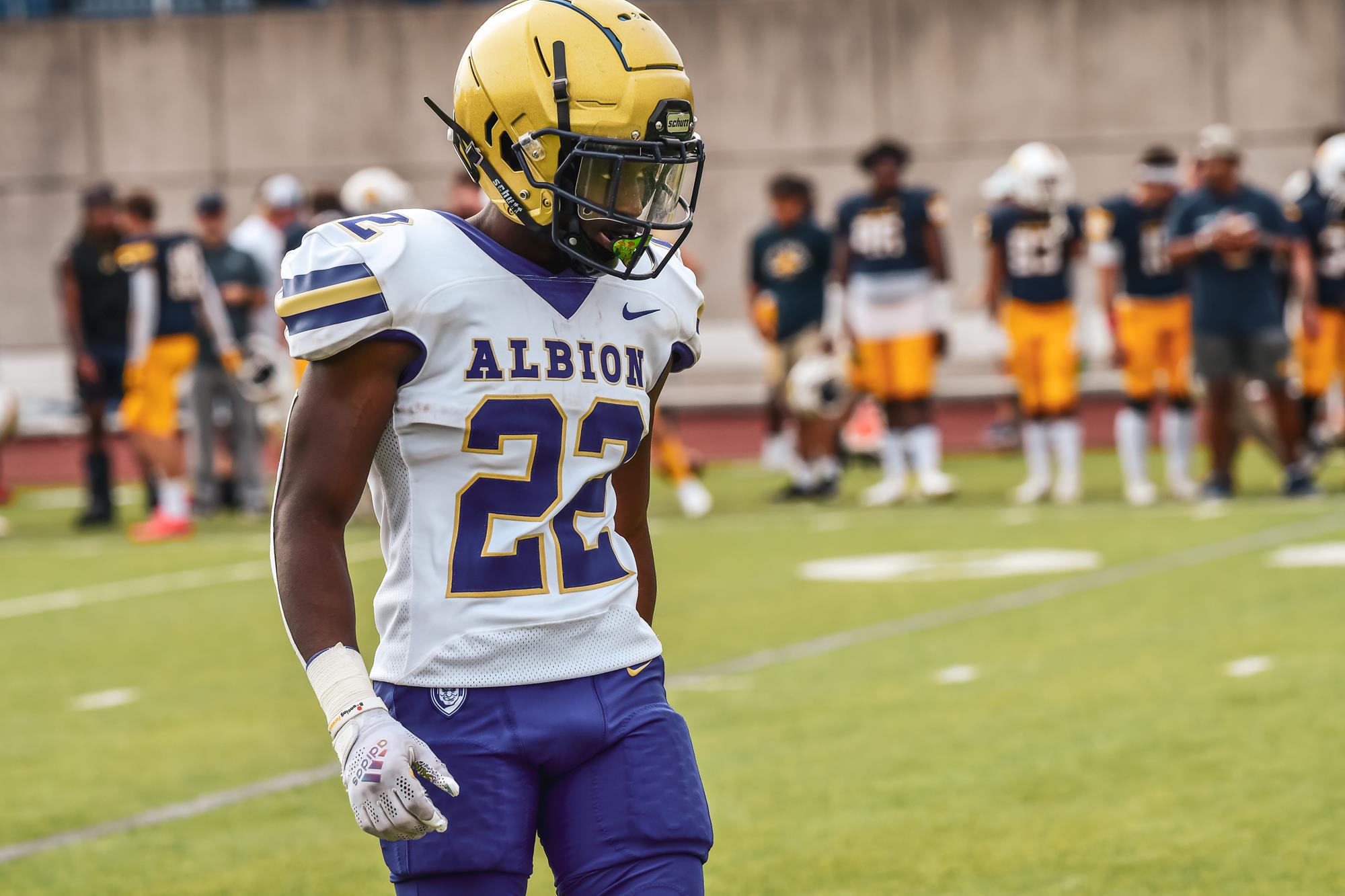 Mitchell Raphael - 2021 - Football - Albion College
