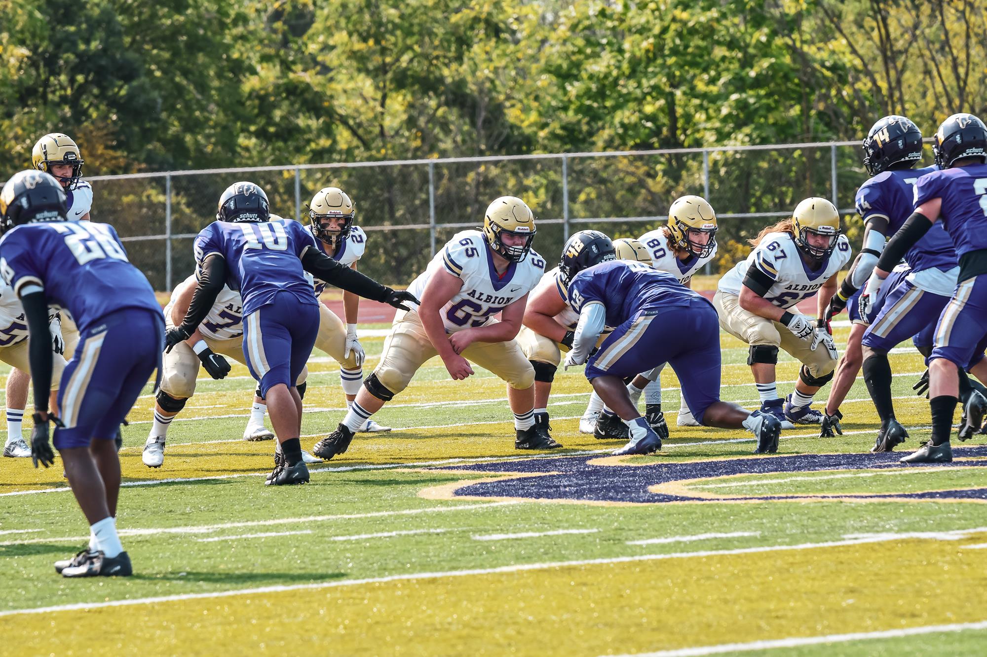 Tayvid Elmore - 2021 - Football - Albion College