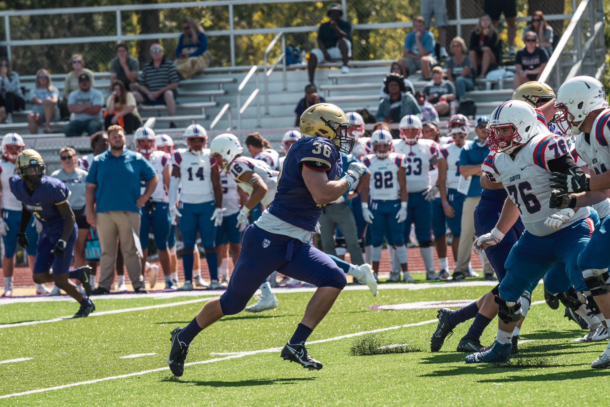 Nick Fannon - 2023 - Football - Albion College