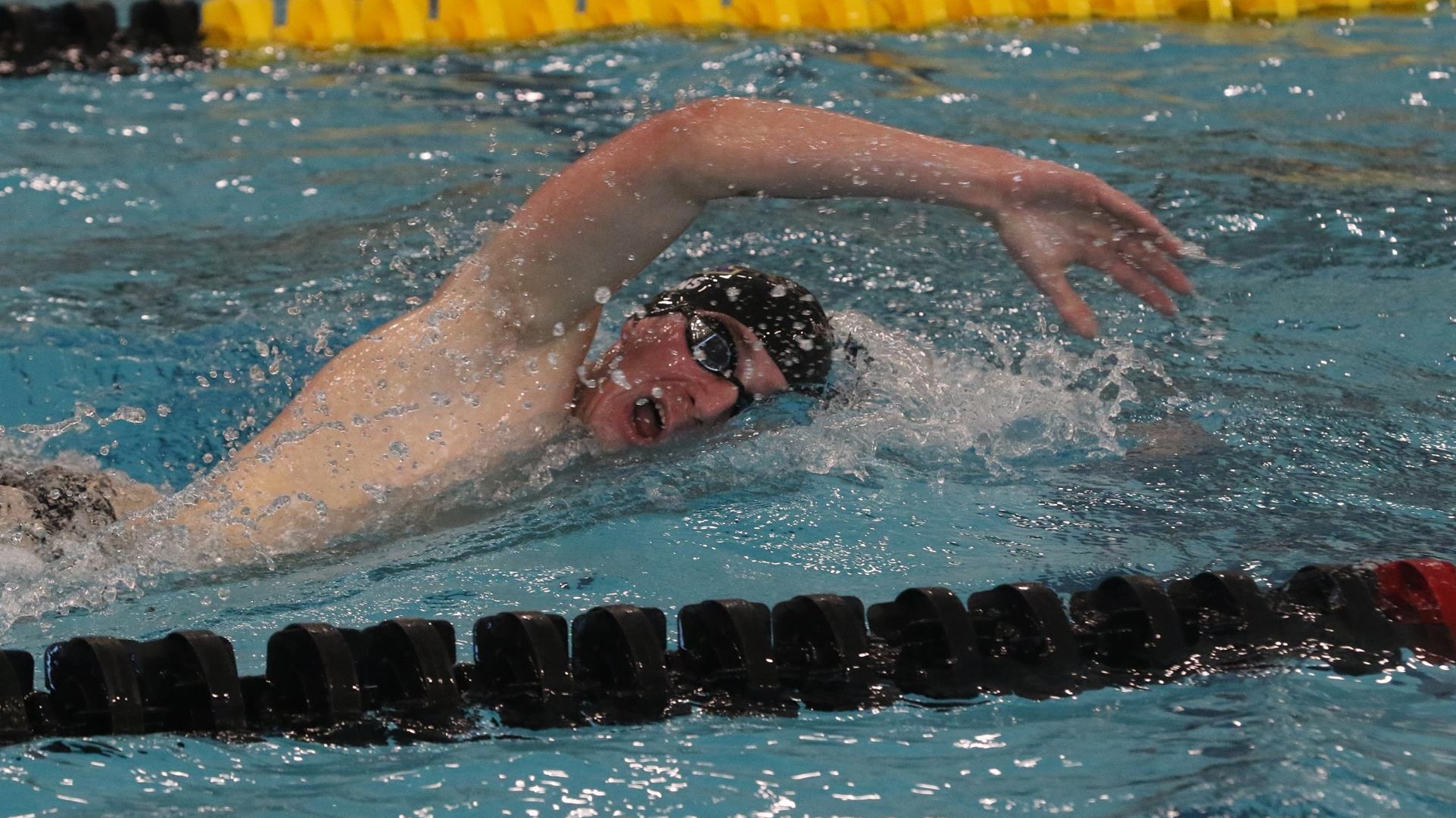 Swim and dive returns to action - Albion College