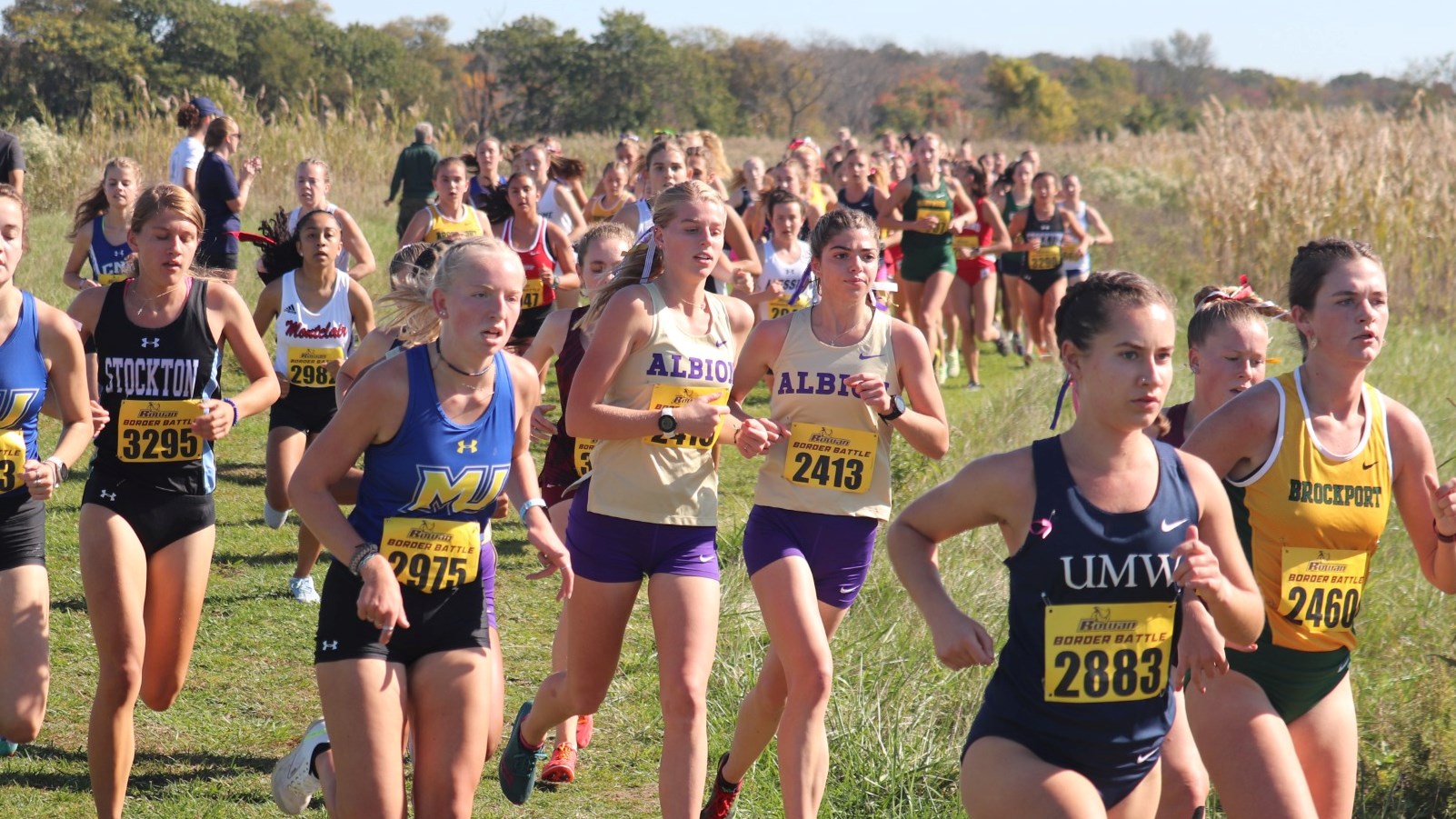 Women sixth, men eighth at XC Championships - Albion College