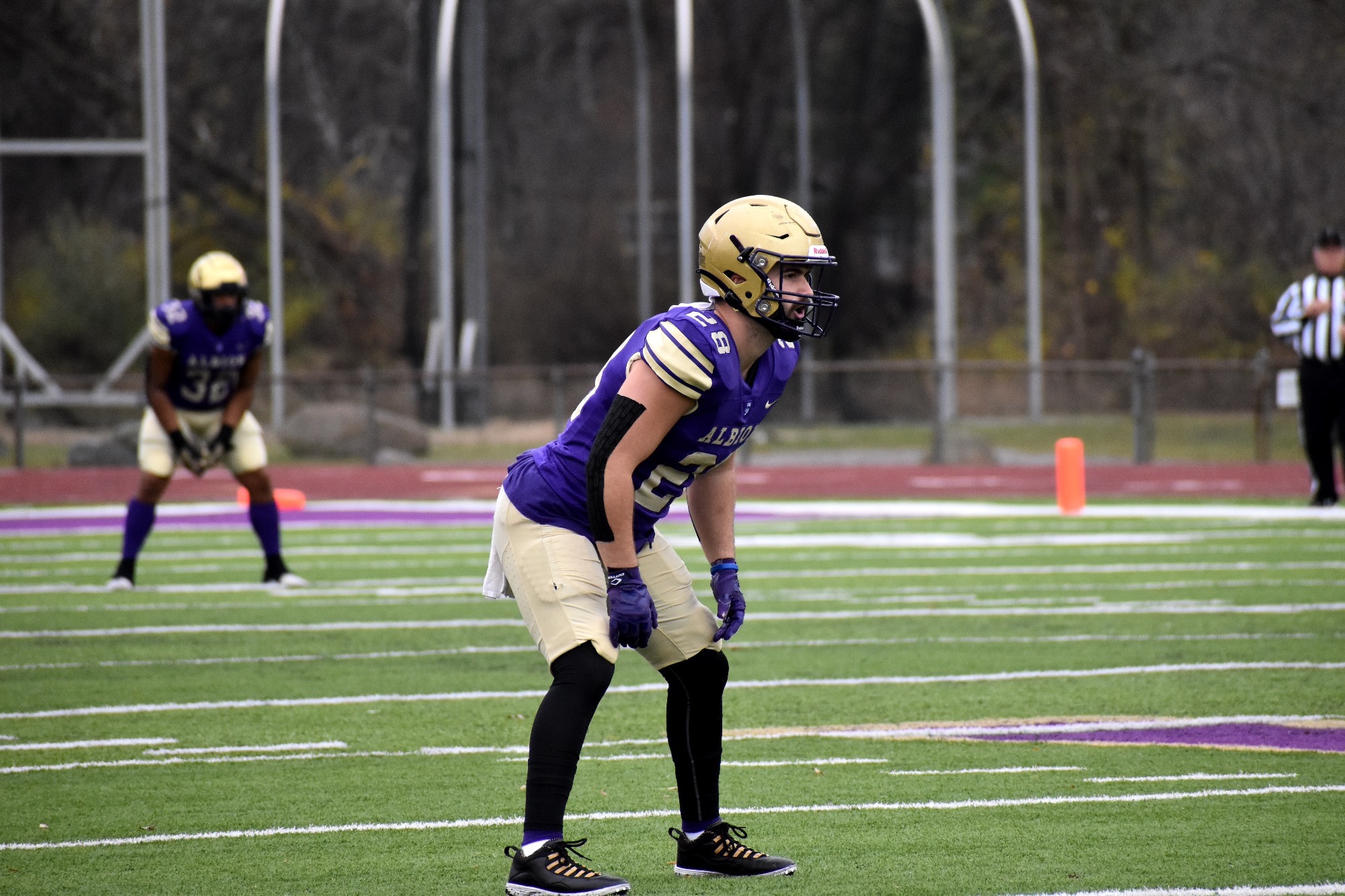 Ian Goins - 2022 - Football - Albion College