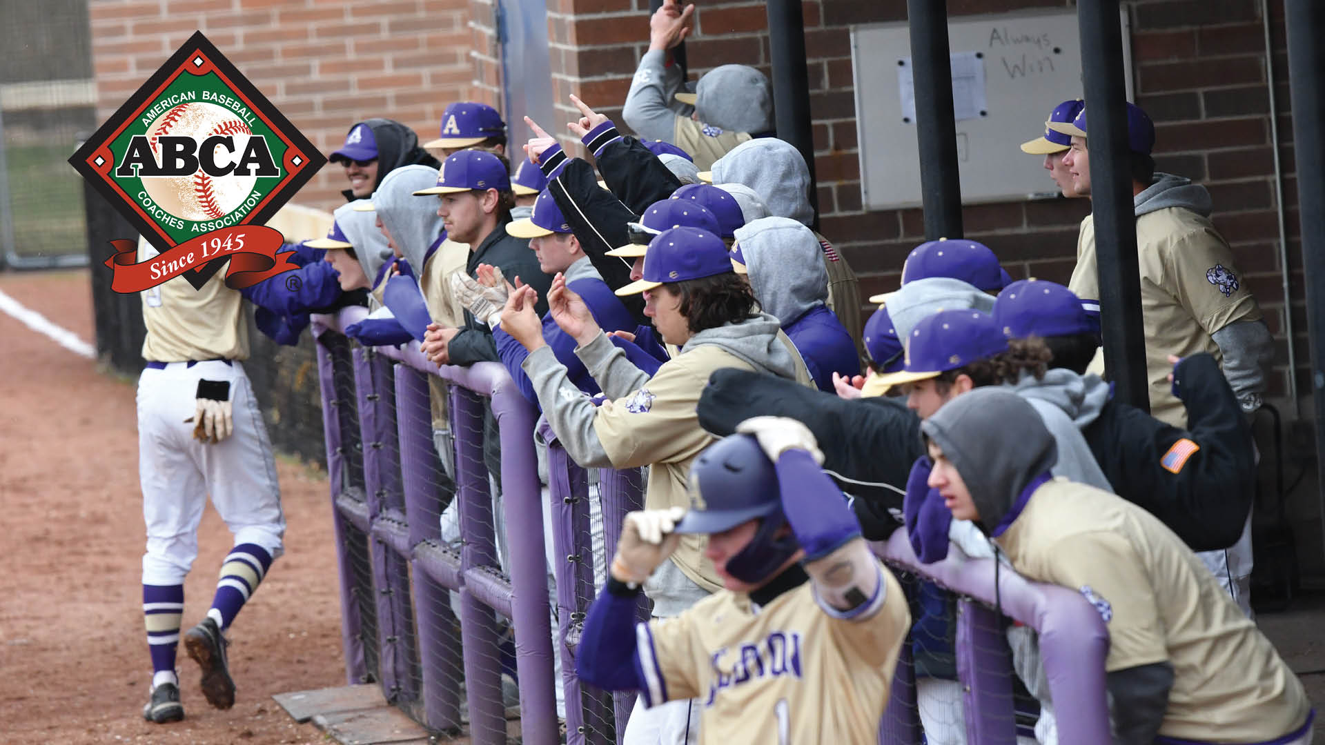 Baseball claims ABCA Academic honor - Albion College