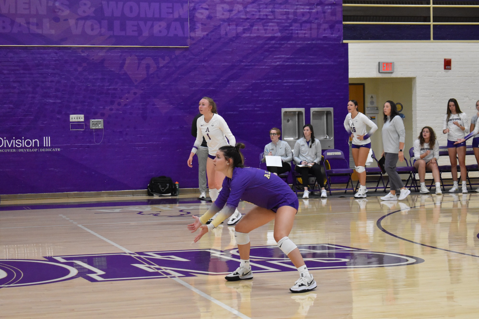 Courtney Companion - 2023 - Women's Volleyball - Albion College