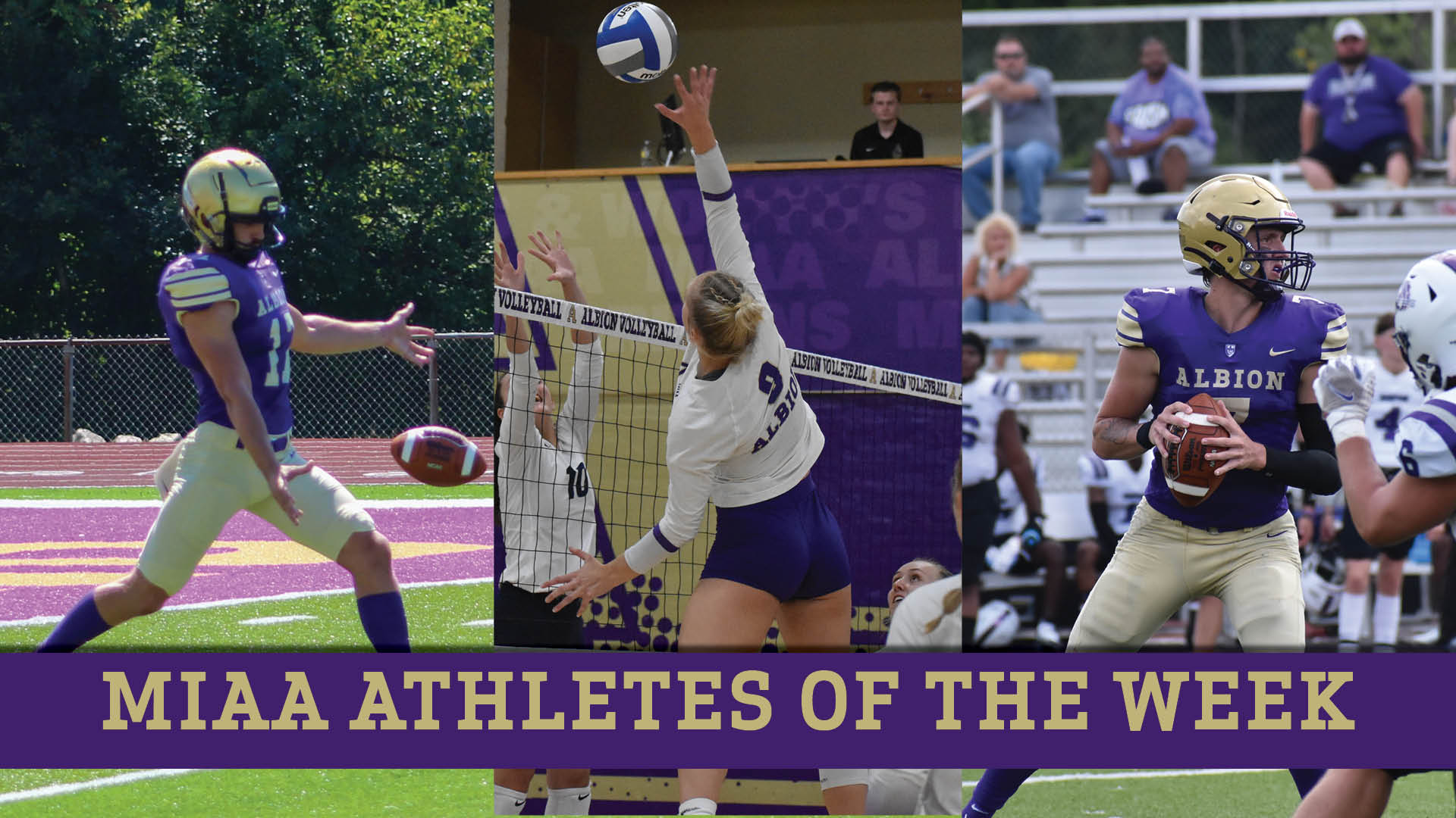 Three take home Athlete of the Week honors - Albion College