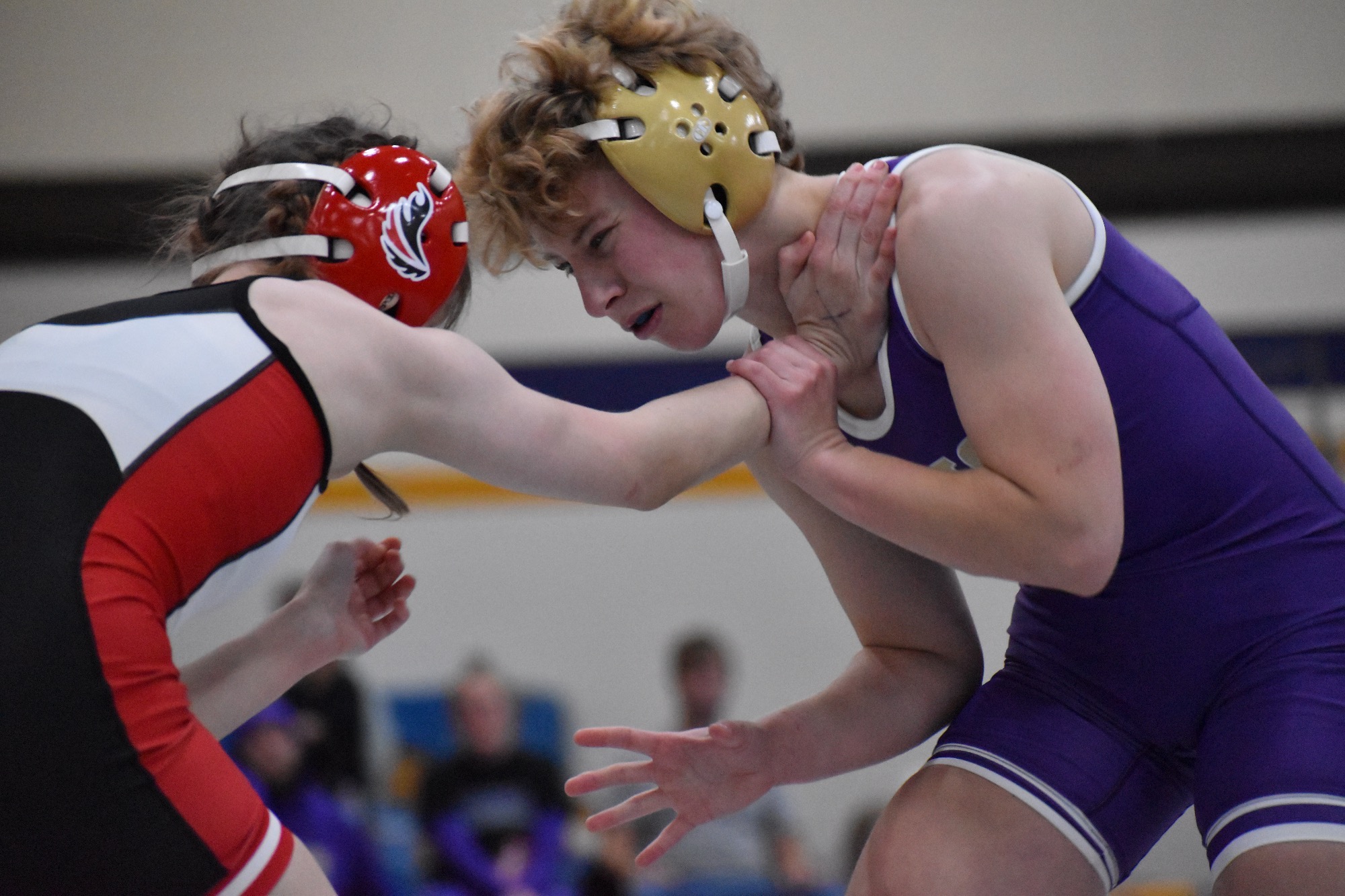 Two place at Warrior Open - Albion College