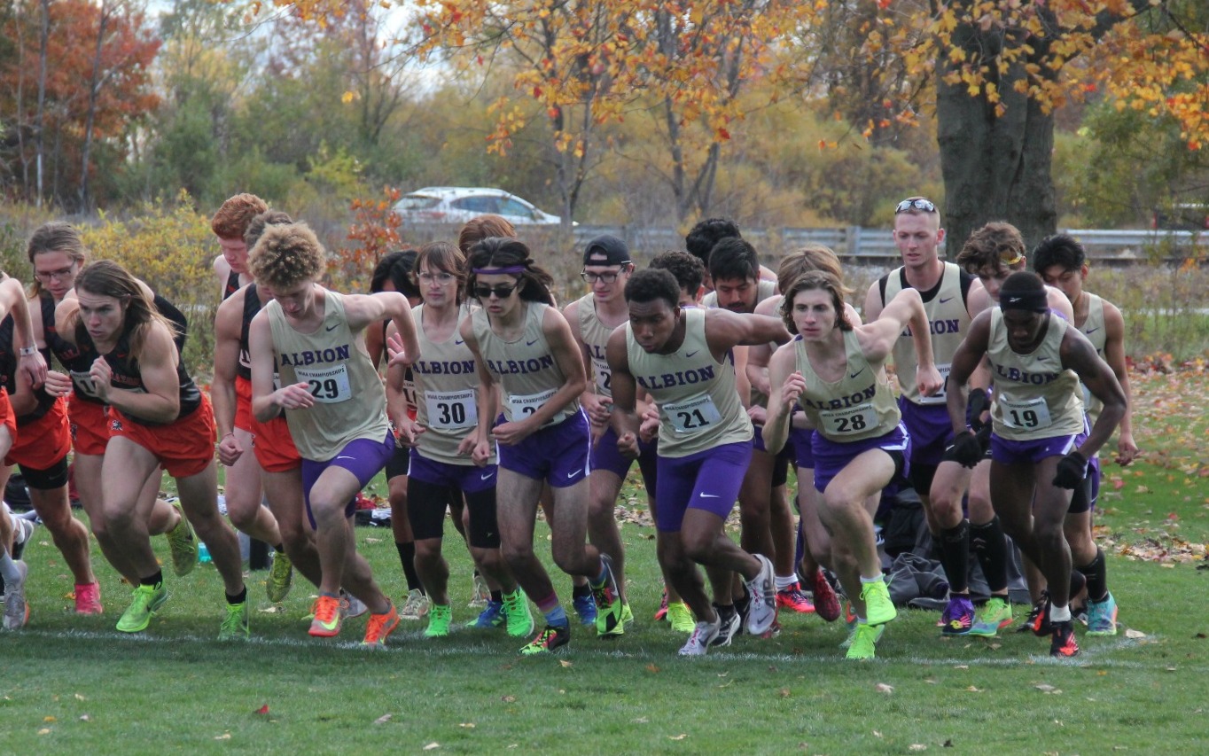 Women sixth, men eighth at XC Championships - Albion College