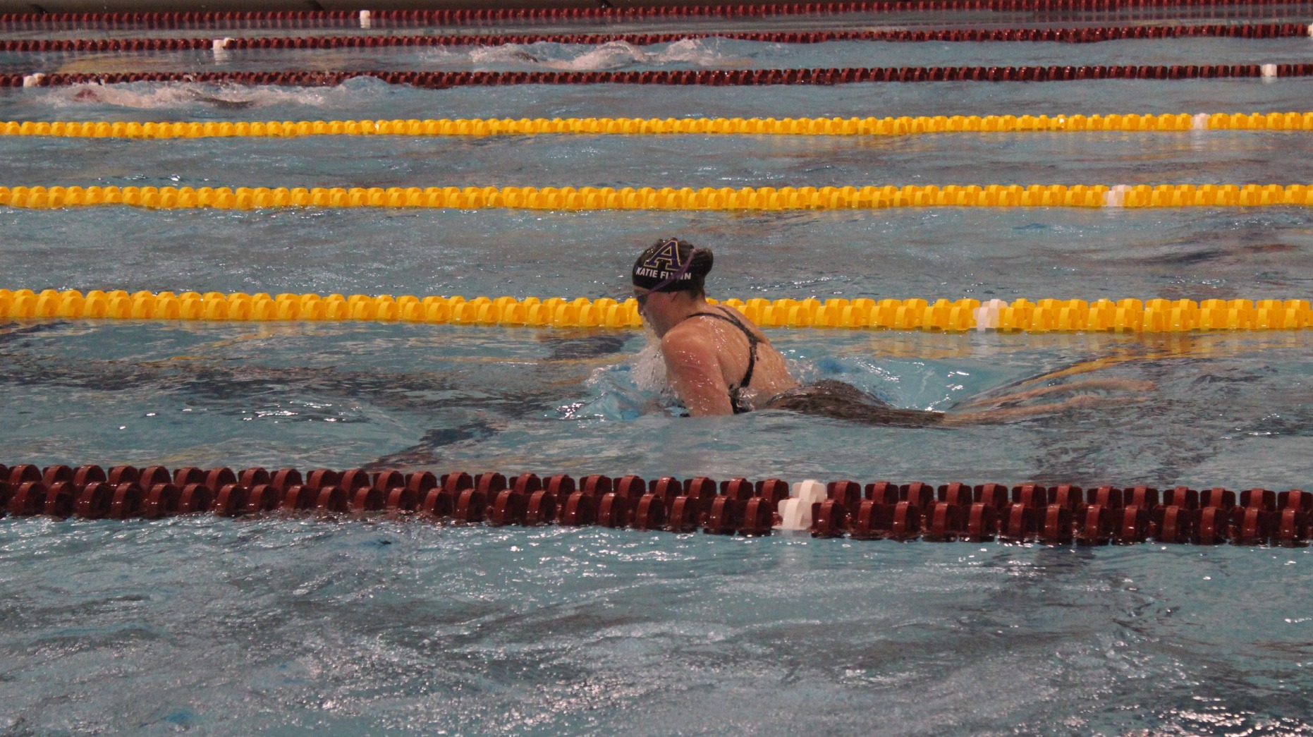 Gettings breaks 100 fly record, swim and dive continues MIAAs - Albion ...