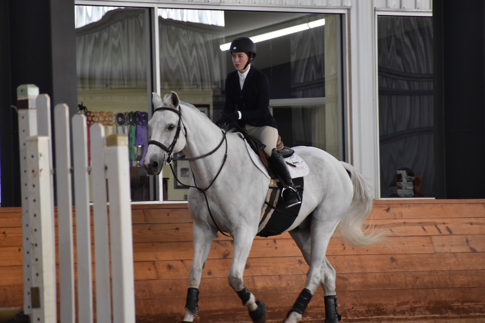 Hunt Seat sends six to Regionals - Albion College