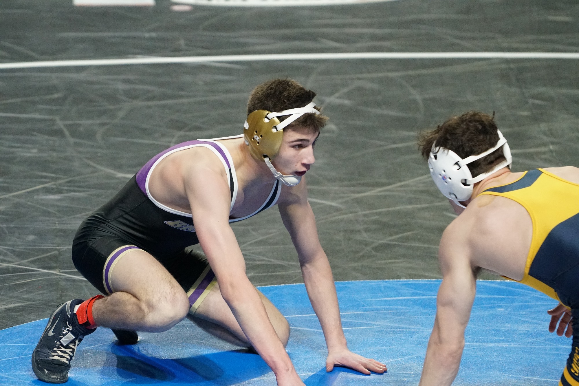 Odrobina concludes freshman season at Nationals - Albion College