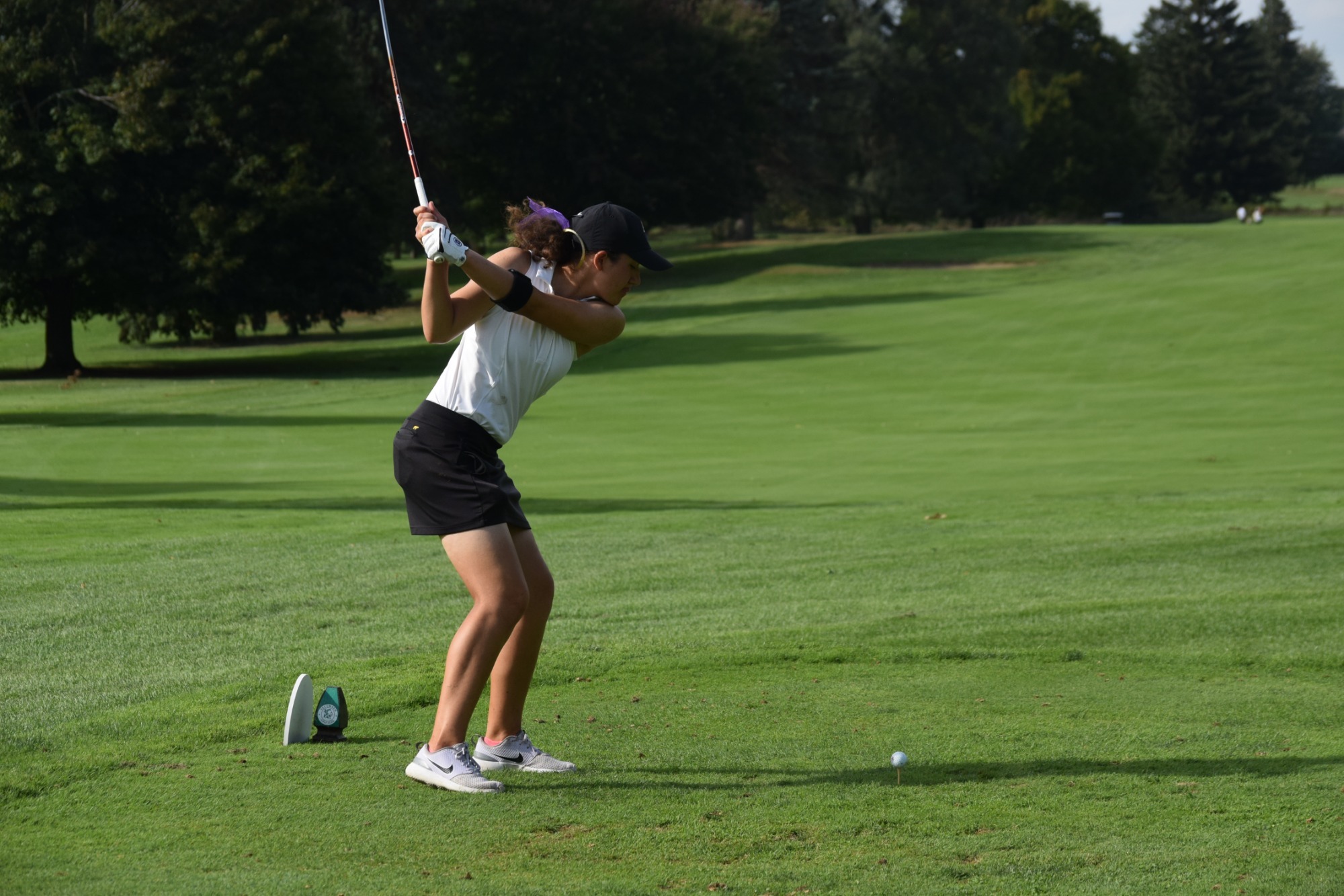Women's golf defeats Hope in first half of dual - Albion College