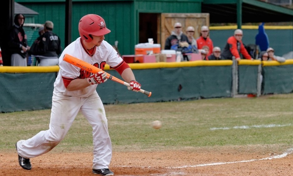 Caleb Goodwin - 2016 - Baseball - Christian Brothers University Athletics