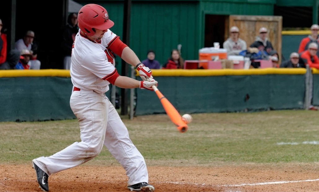Caleb Goodwin - 2016 - Baseball - Christian Brothers University Athletics