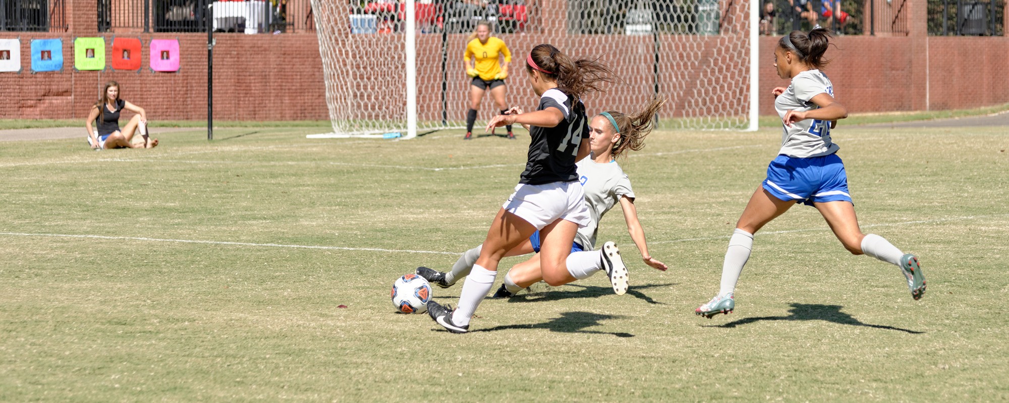 Connie Strini - 2018 - Women's Soccer - Christian Brothers University ...