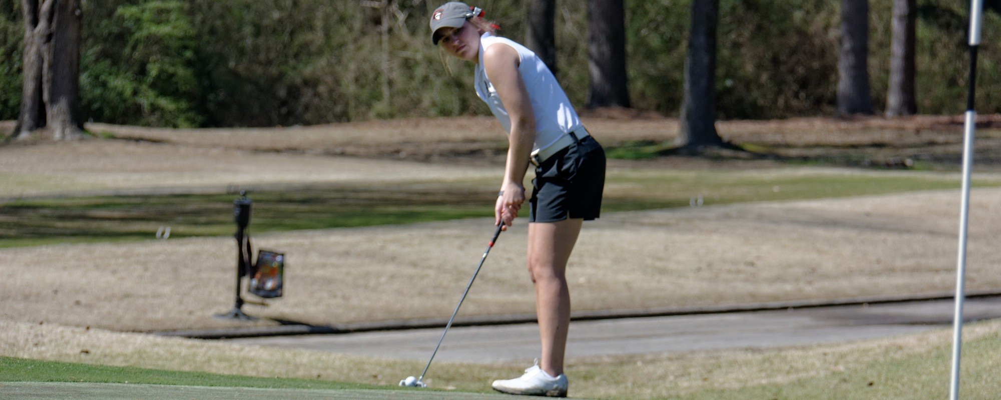 Anna McIntyre - 2015-16 - Women's Golf - Christian Brothers University ...
