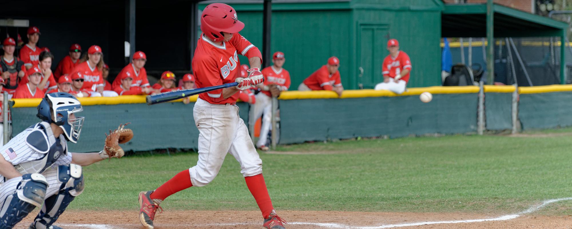 Michael Halley - 2017 - Baseball - Christian Brothers University Athletics