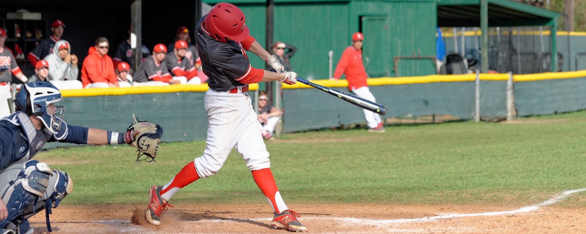Michael Halley - 2017 - Baseball - Christian Brothers University Athletics