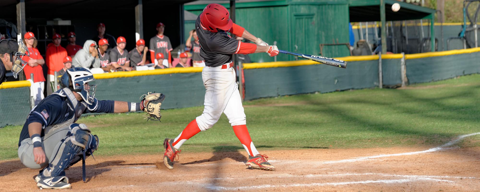 Michael Halley - 2017 - Baseball - Christian Brothers University Athletics