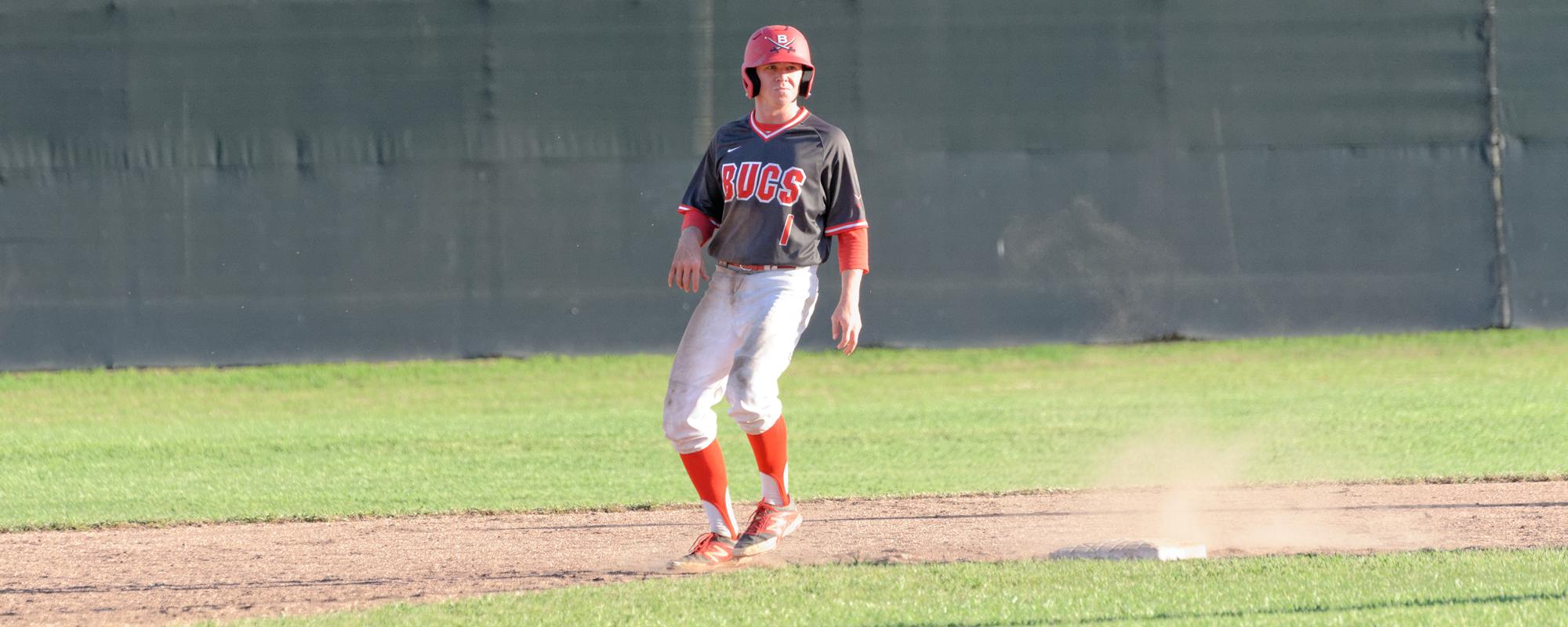 Michael Halley - 2017 - Baseball - Christian Brothers University Athletics