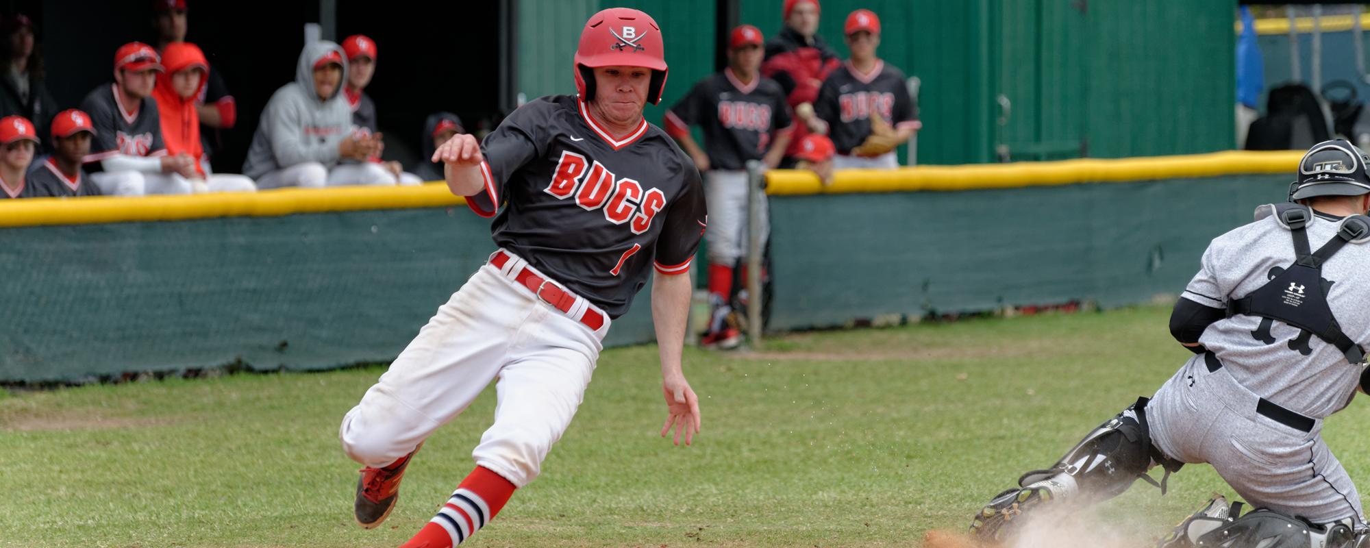 Michael Halley - 2017 - Baseball - Christian Brothers University Athletics