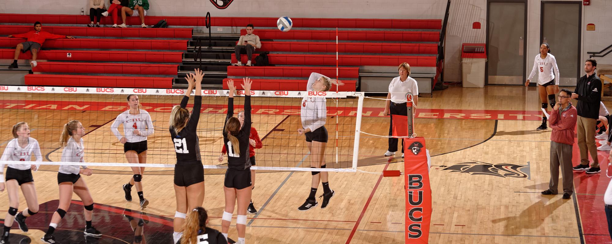 Mollie Wadsworth - 2019 - Women's Volleyball - Christian Brothers ...