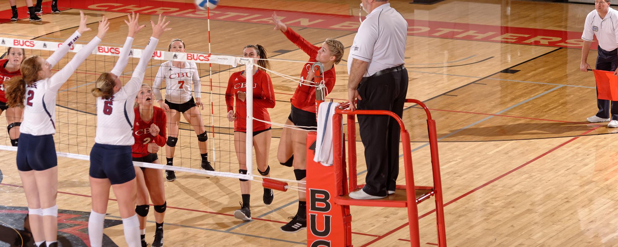 Mollie Wadsworth - 2019 - Women's Volleyball - Christian Brothers ...