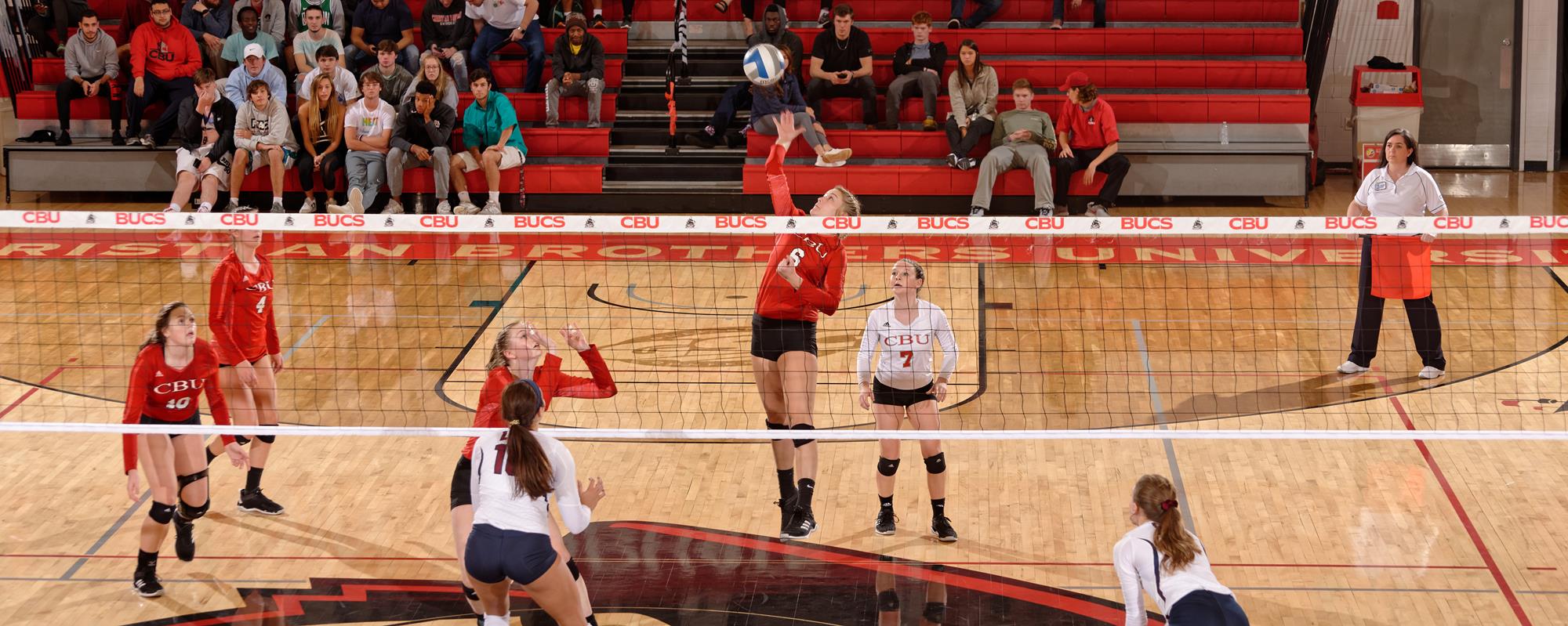 Mollie Wadsworth - 2019 - Women's Volleyball - Christian Brothers ...