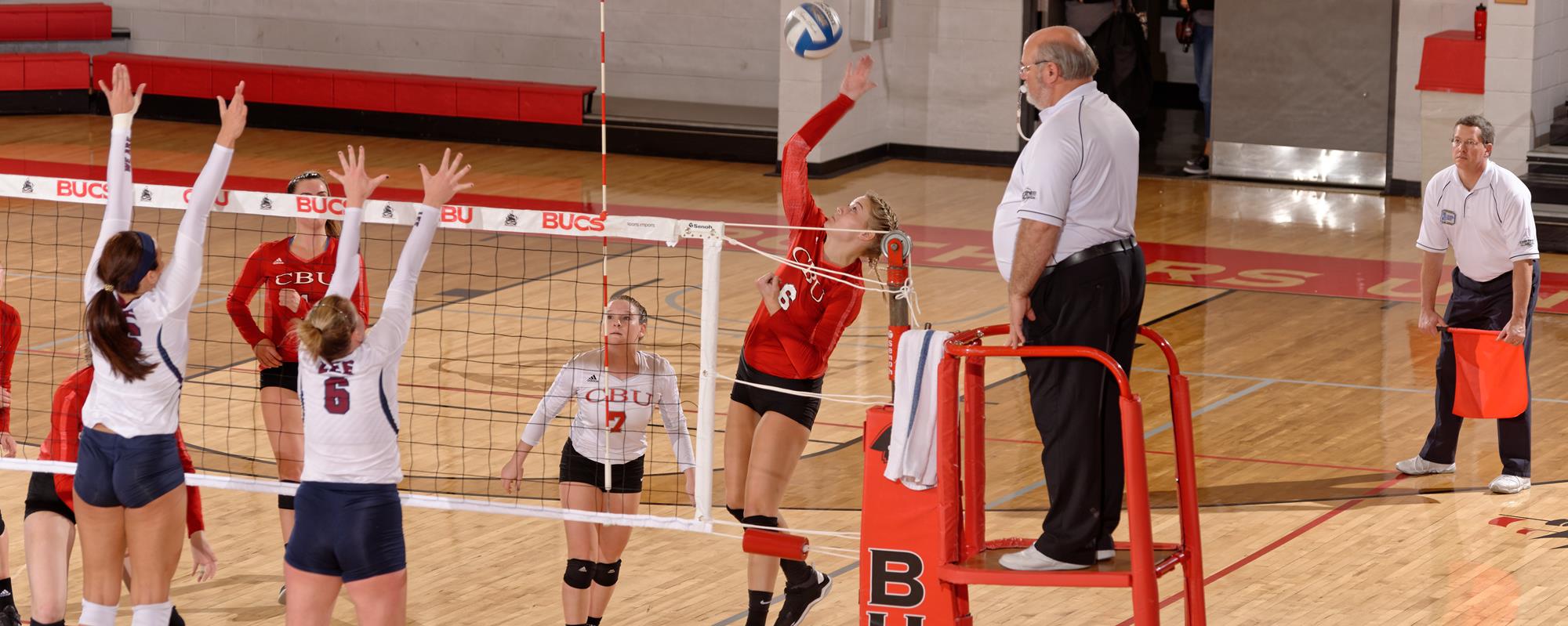 Mollie Wadsworth - 2019 - Women's Volleyball - Christian Brothers ...