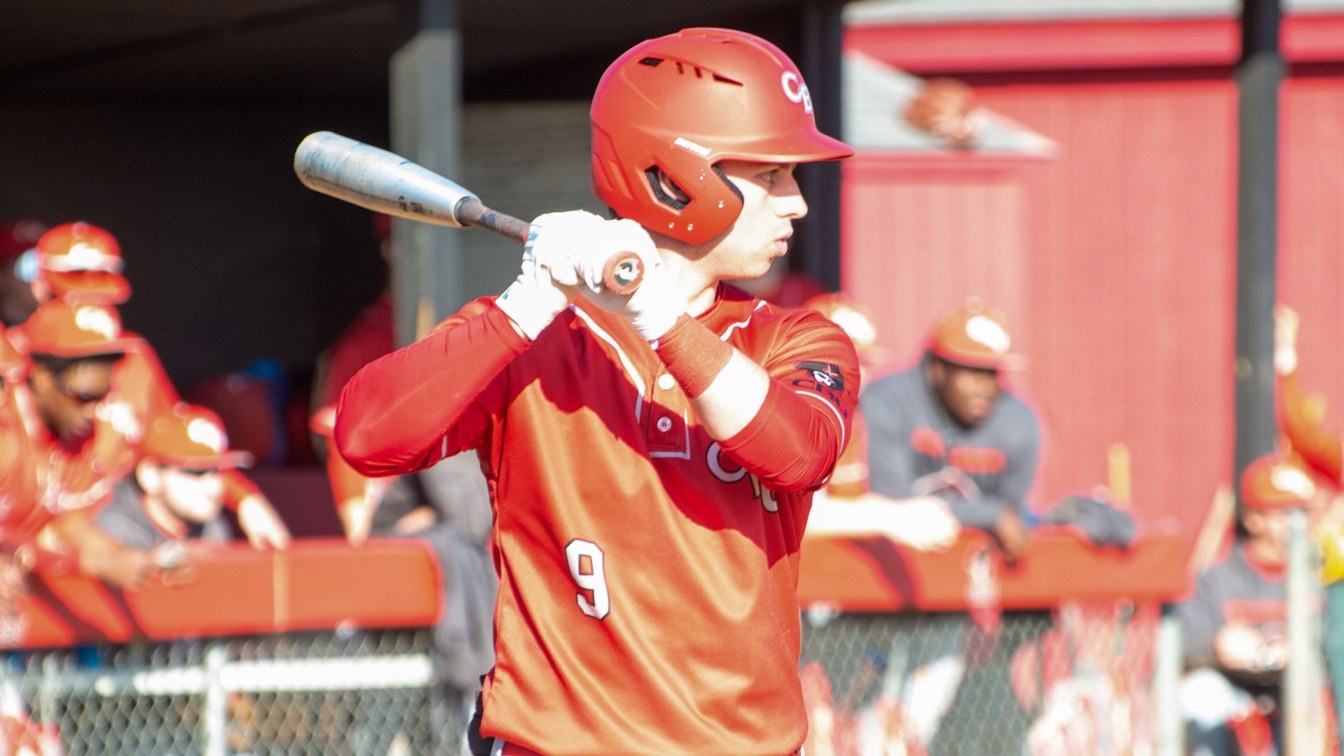 Ben Brocato - 2024 - Baseball - Christian Brothers University Athletics