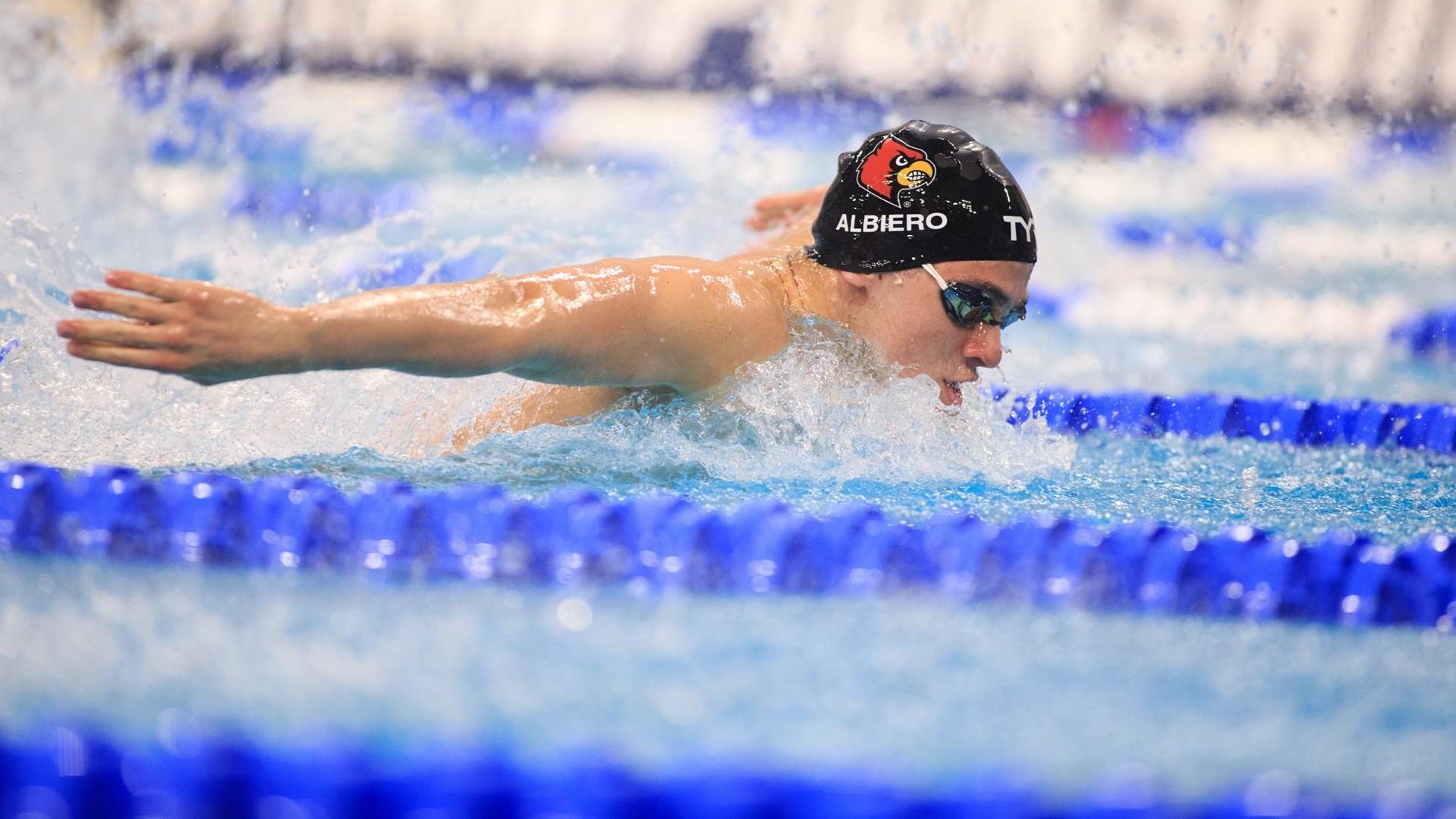 Nick Albiero Named ACC Swimmer of the Week - University of Louisville ...