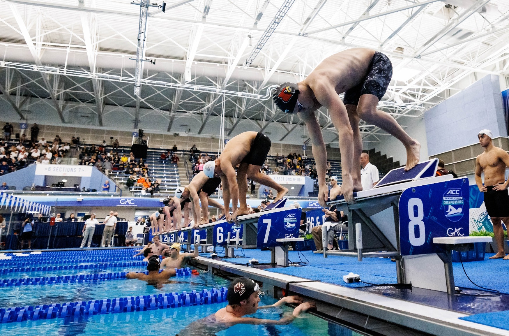 Swimming Set to Host Last Chance Meet - University of Louisville Athletics
