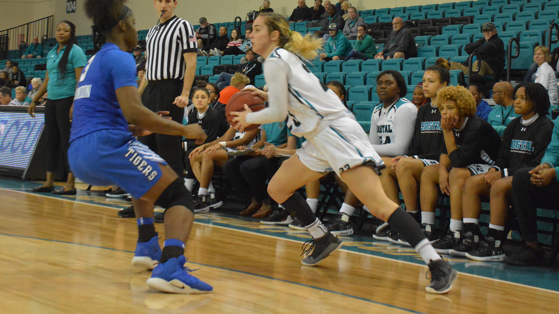 Caitlin Roche - Women's Basketball - Coastal Carolina University Athletics