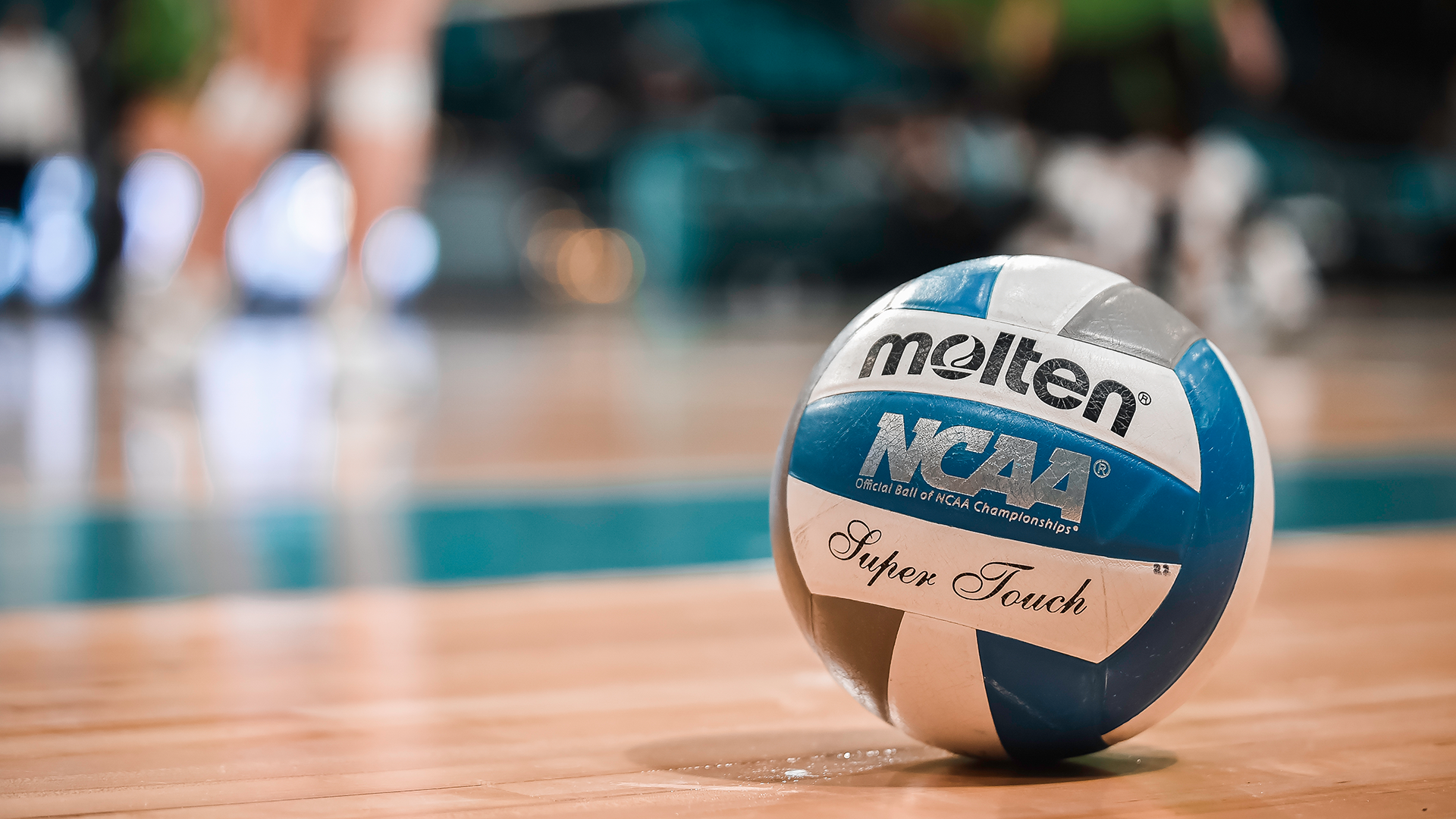 Volleyball Heads To CofC For Exhibition Match - Coastal Carolina ...