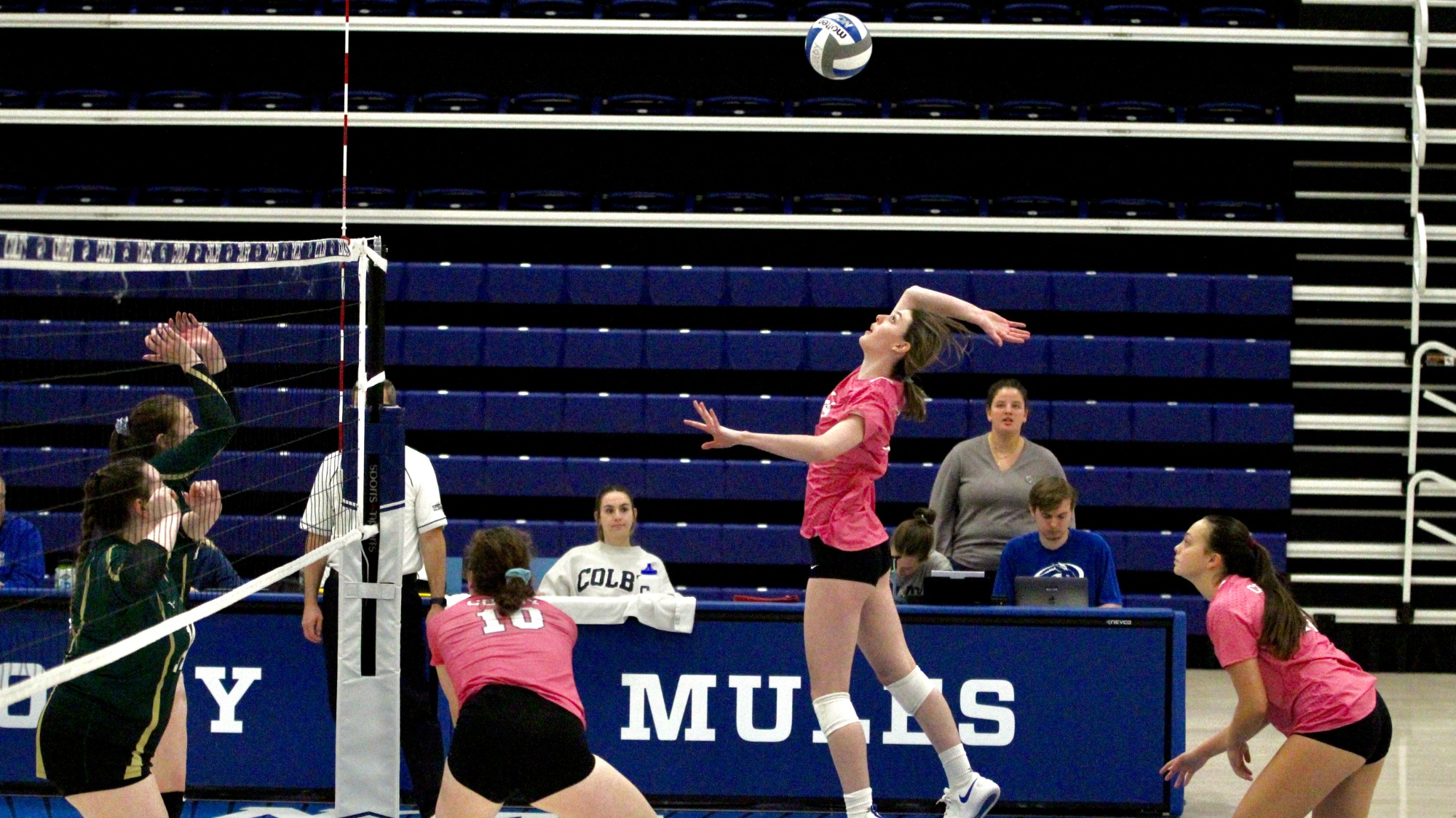 Mules Stay Hot by Sweeping Elms - Colby College