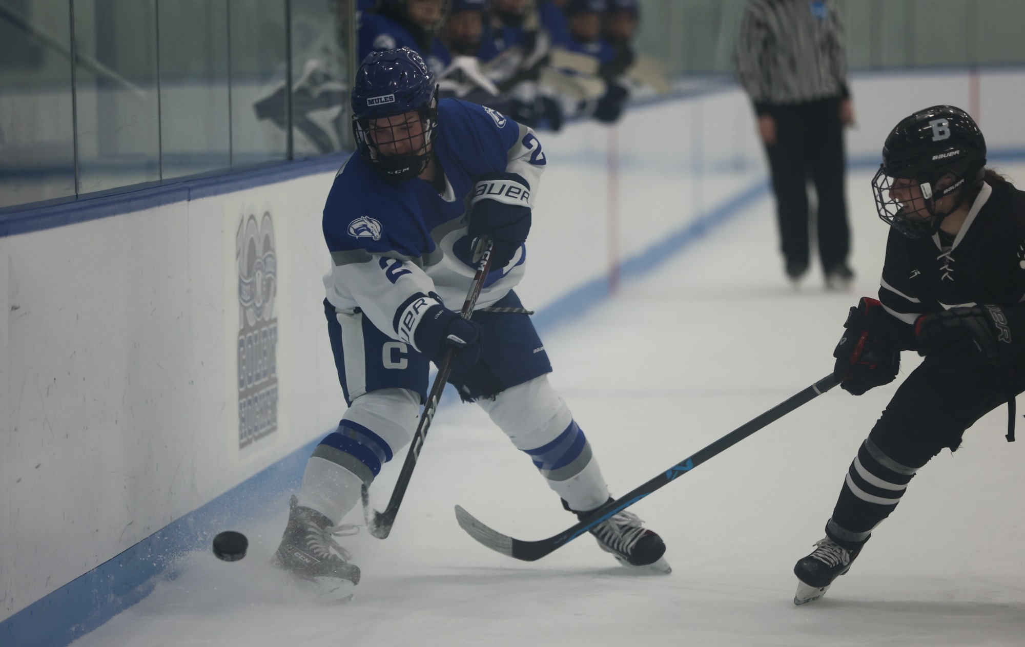 Mules Complete Three Game Sweep - Colby College