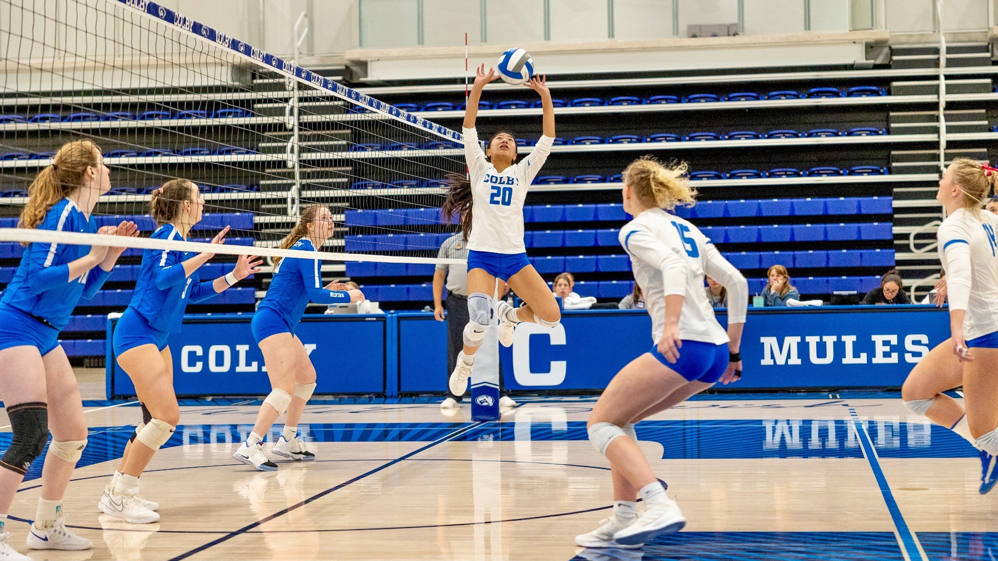 Volleyball Celebrates Senior Night with Dominant Win Over Wheaton ...