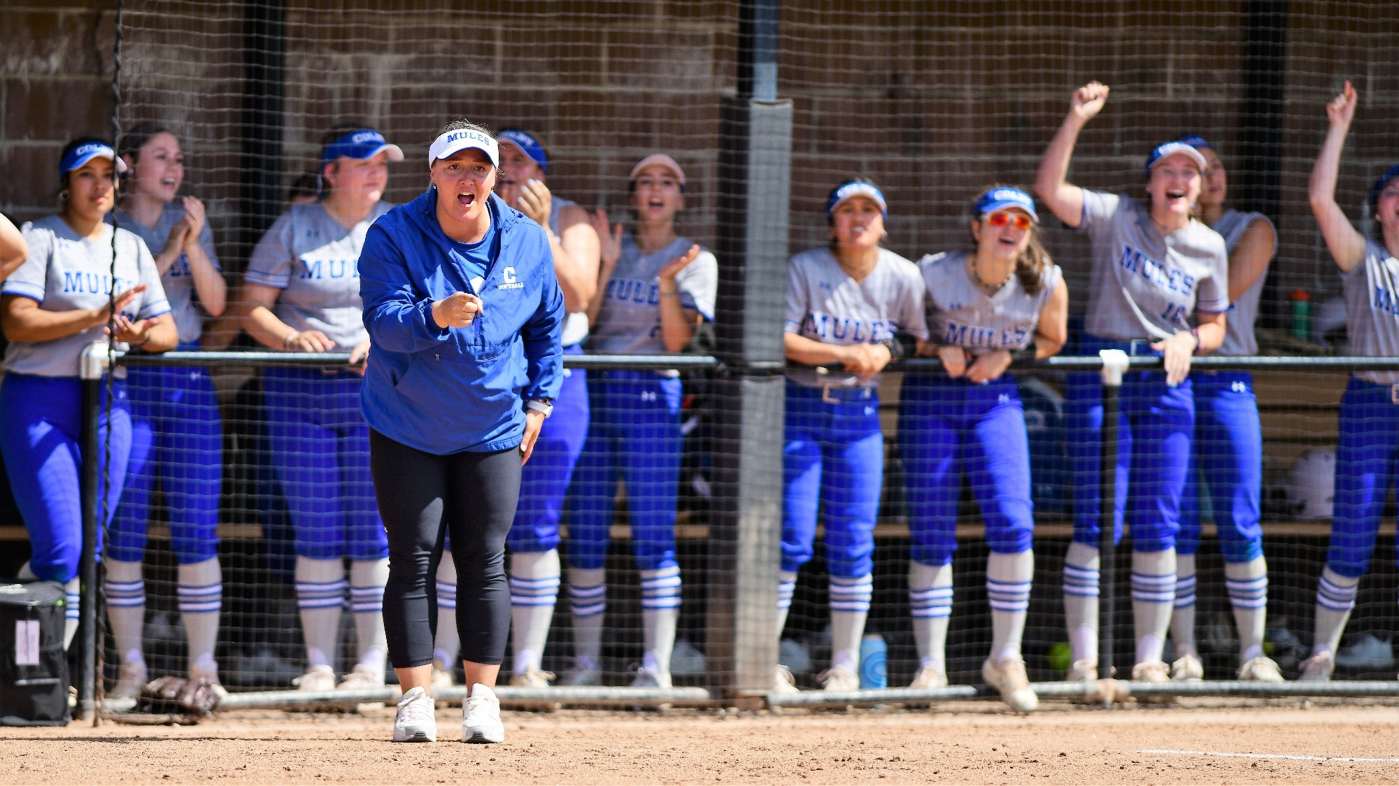 Softball Lands Co-Coach of the Year on Top of Three All-NESCAC ...