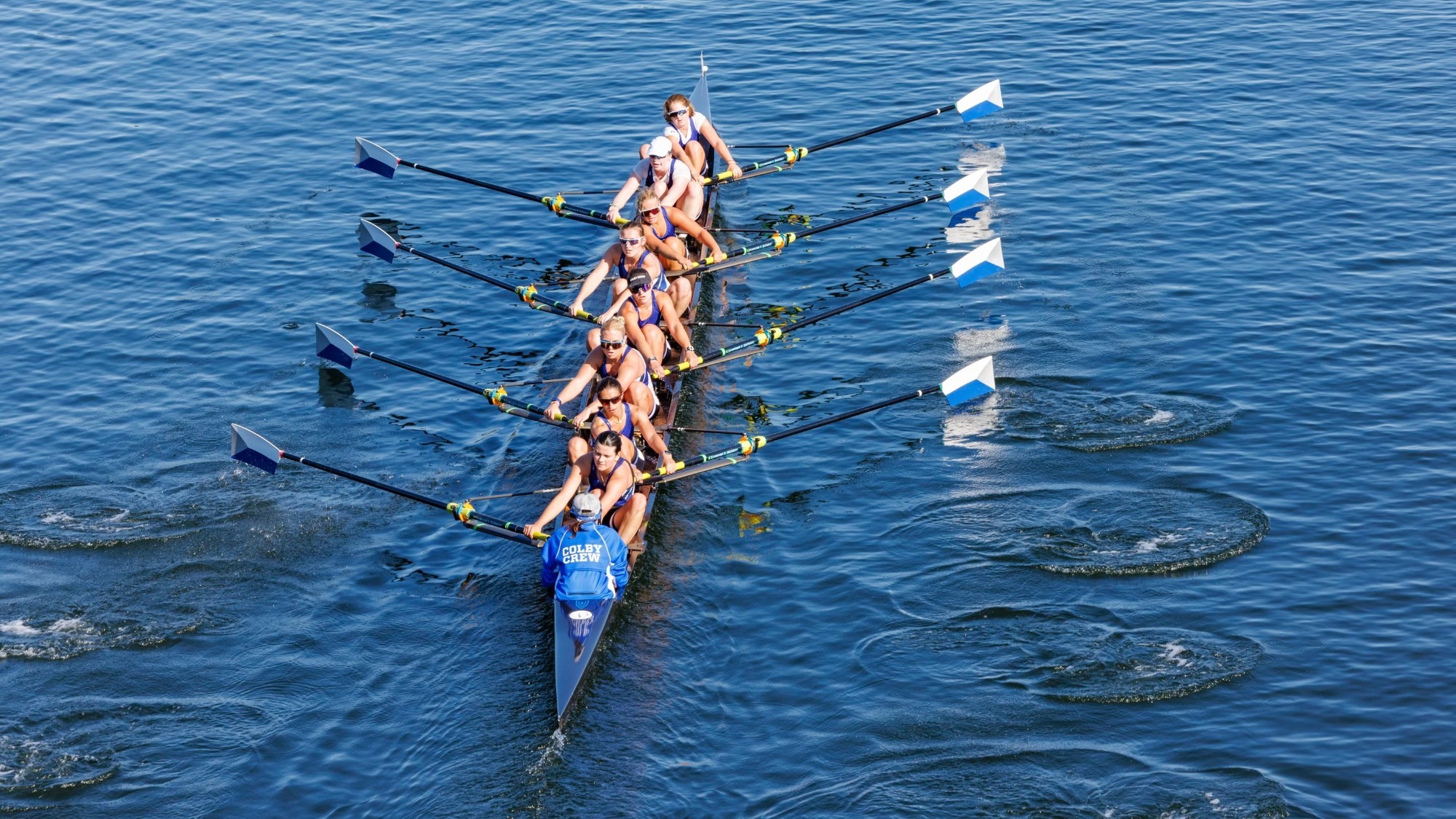 Over 30 Mules Set to Race in Head of the Charles Regatta - Colby College