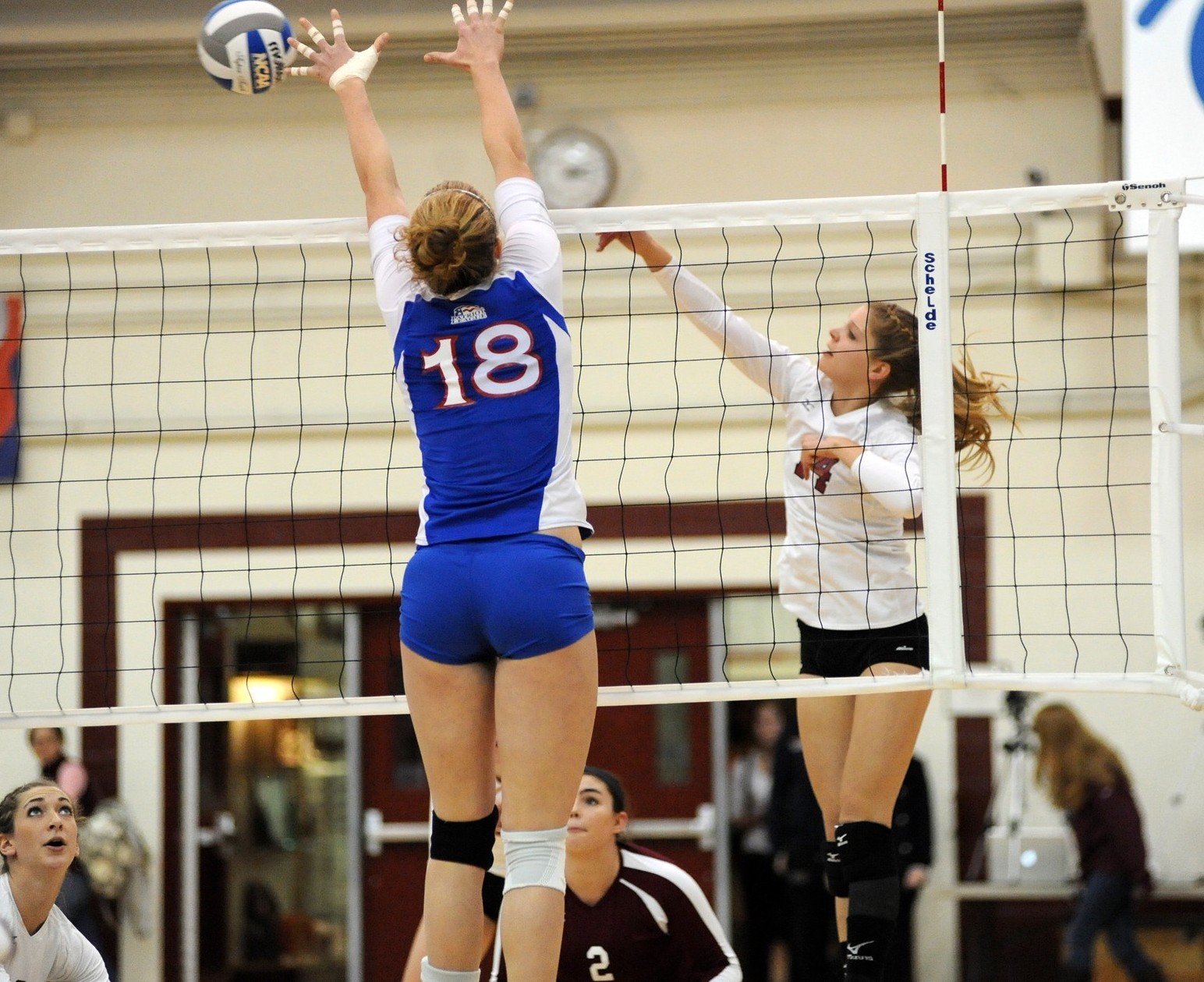 Michelle McCarthy - Volleyball - Colgate University Athletics