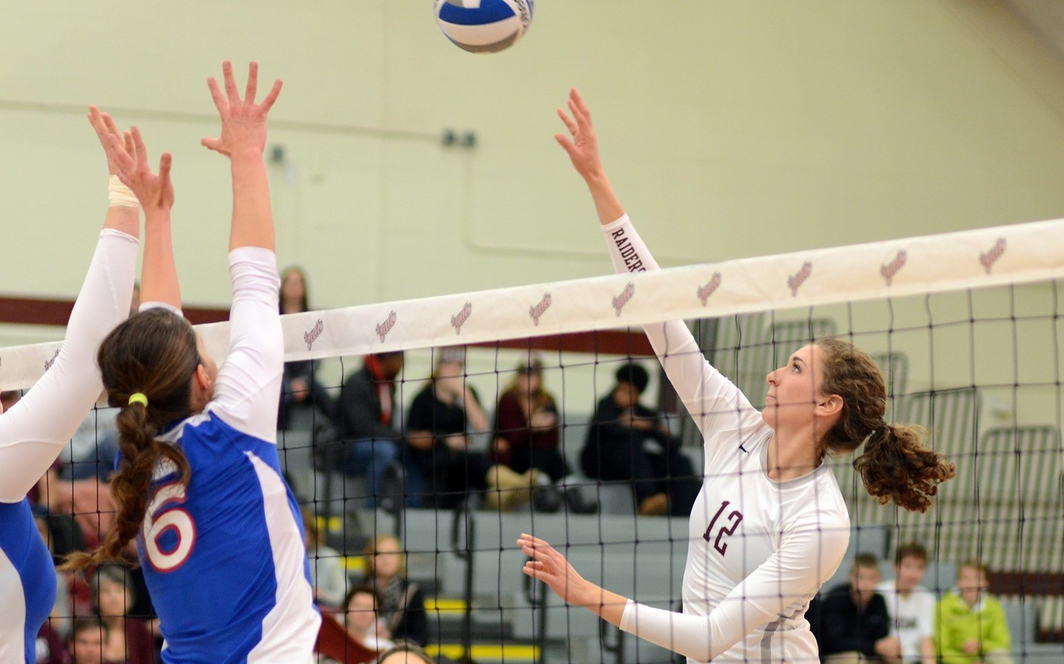 Diane Seely - Volleyball - Colgate University Athletics