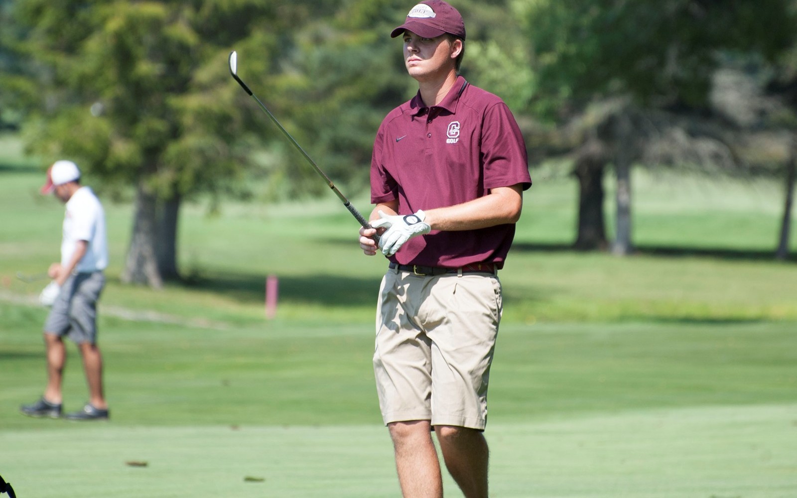 Ryan Allison - Men's Golf - Colgate University Athletics