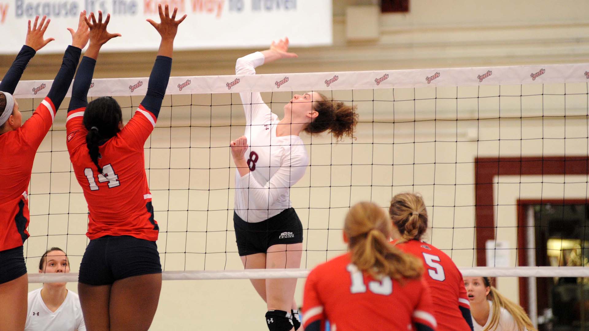 Taylor Flaherty - Volleyball - Colgate University Athletics