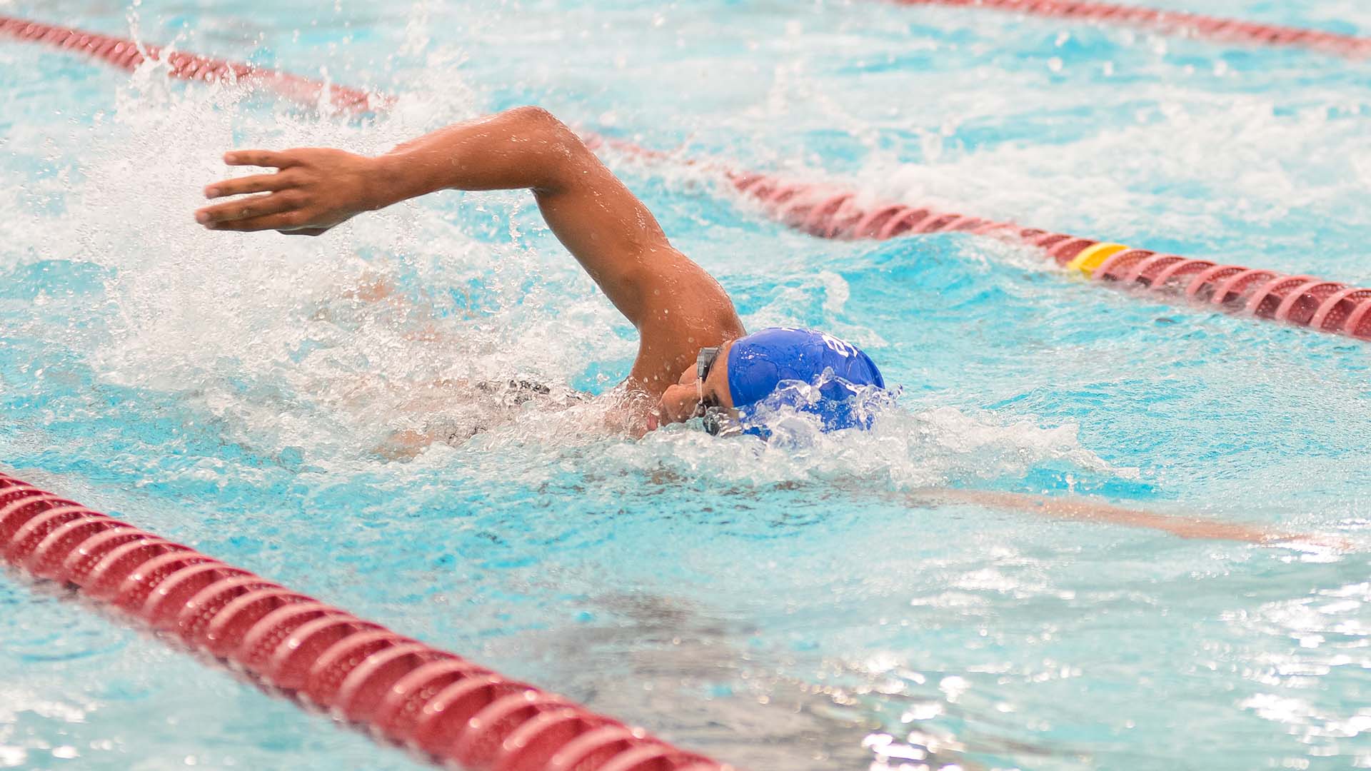 Max Michael - Men's Swimming & Diving - Colgate University Athletics