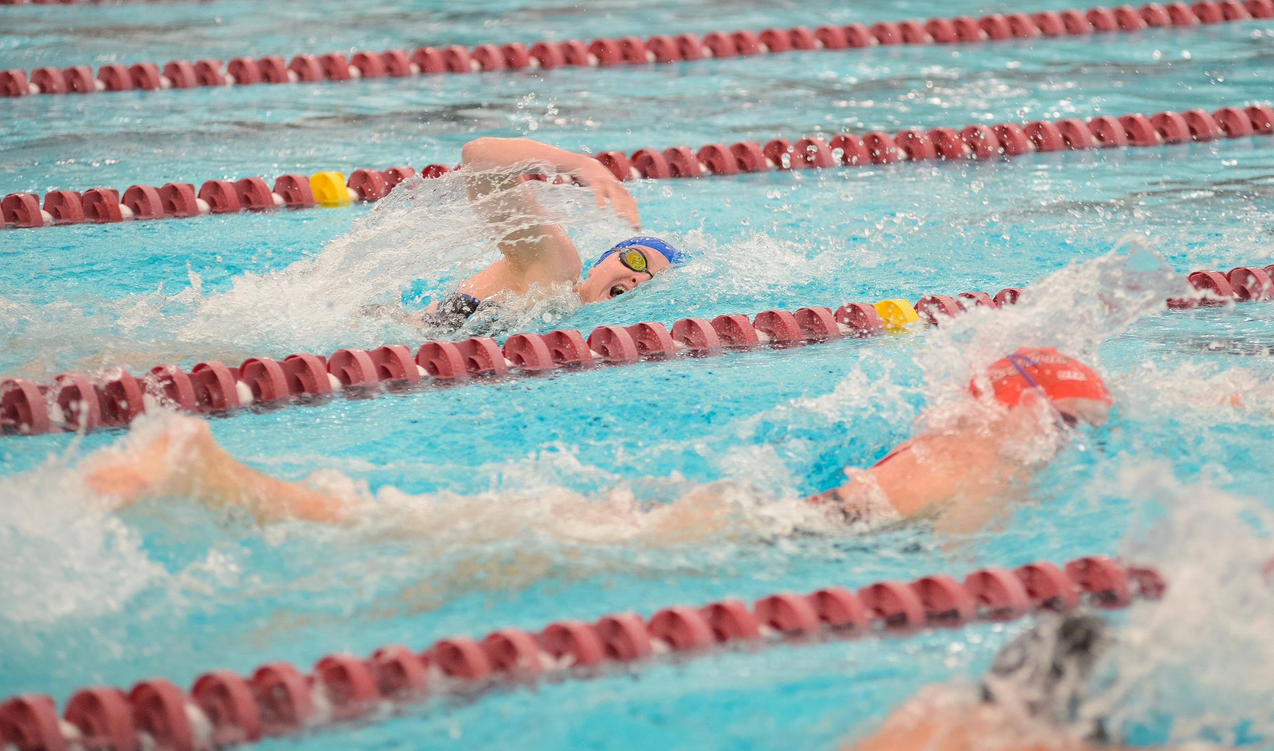 Beth Caruana - Women's Swimming & Diving - Colgate University Athletics
