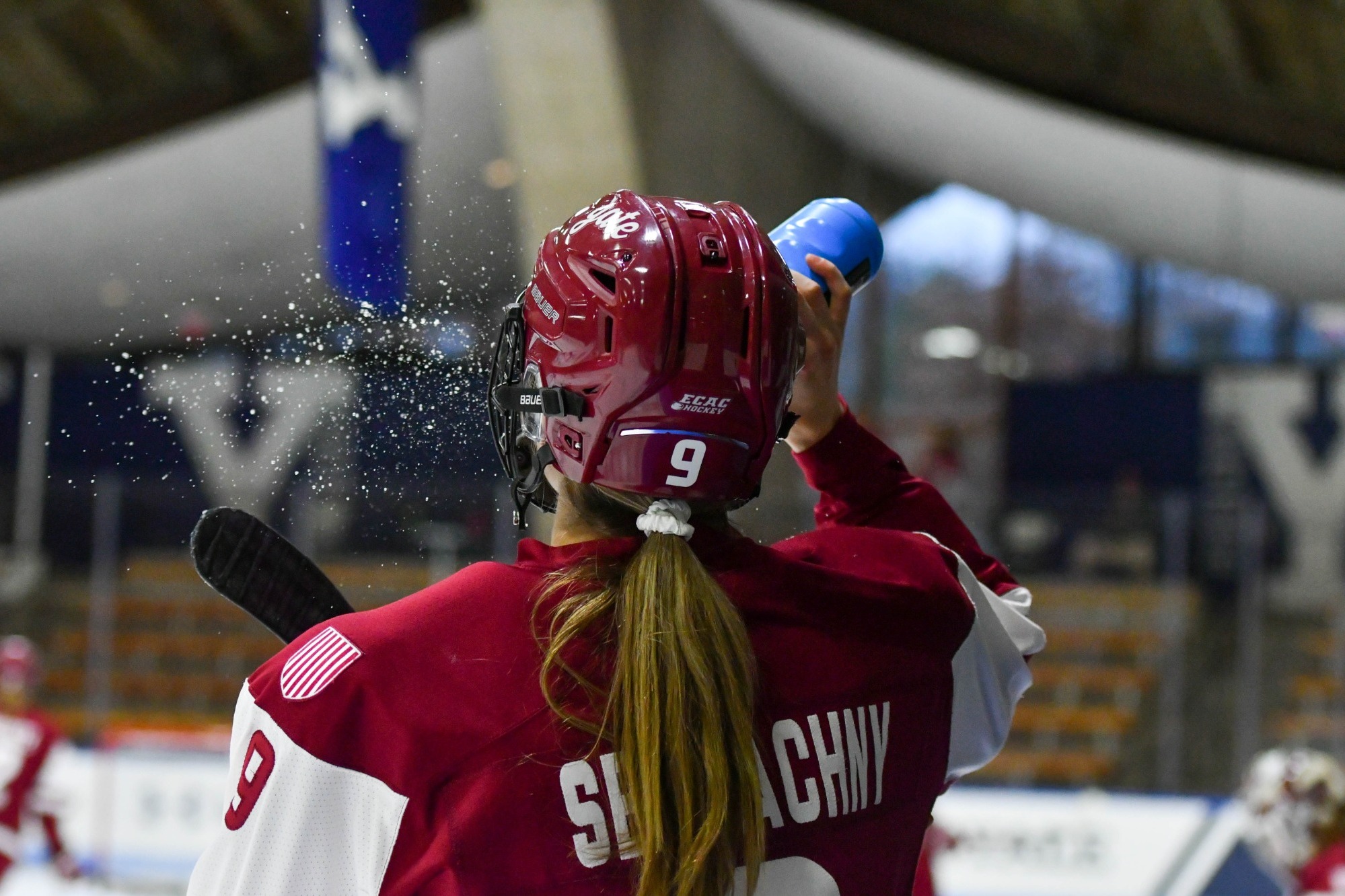 Danielle Serdachny - Women's Ice Hockey - Colgate University Athletics
