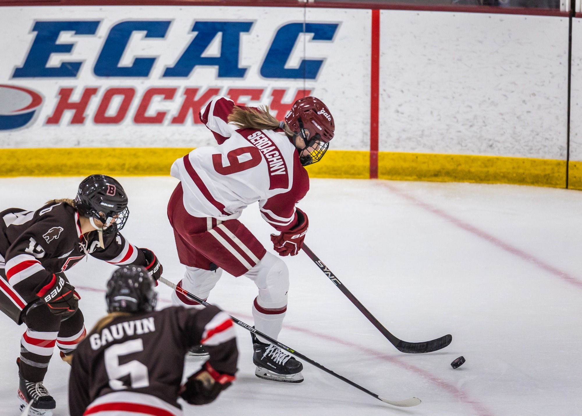 Danielle Serdachny - Women's Ice Hockey - Colgate University Athletics