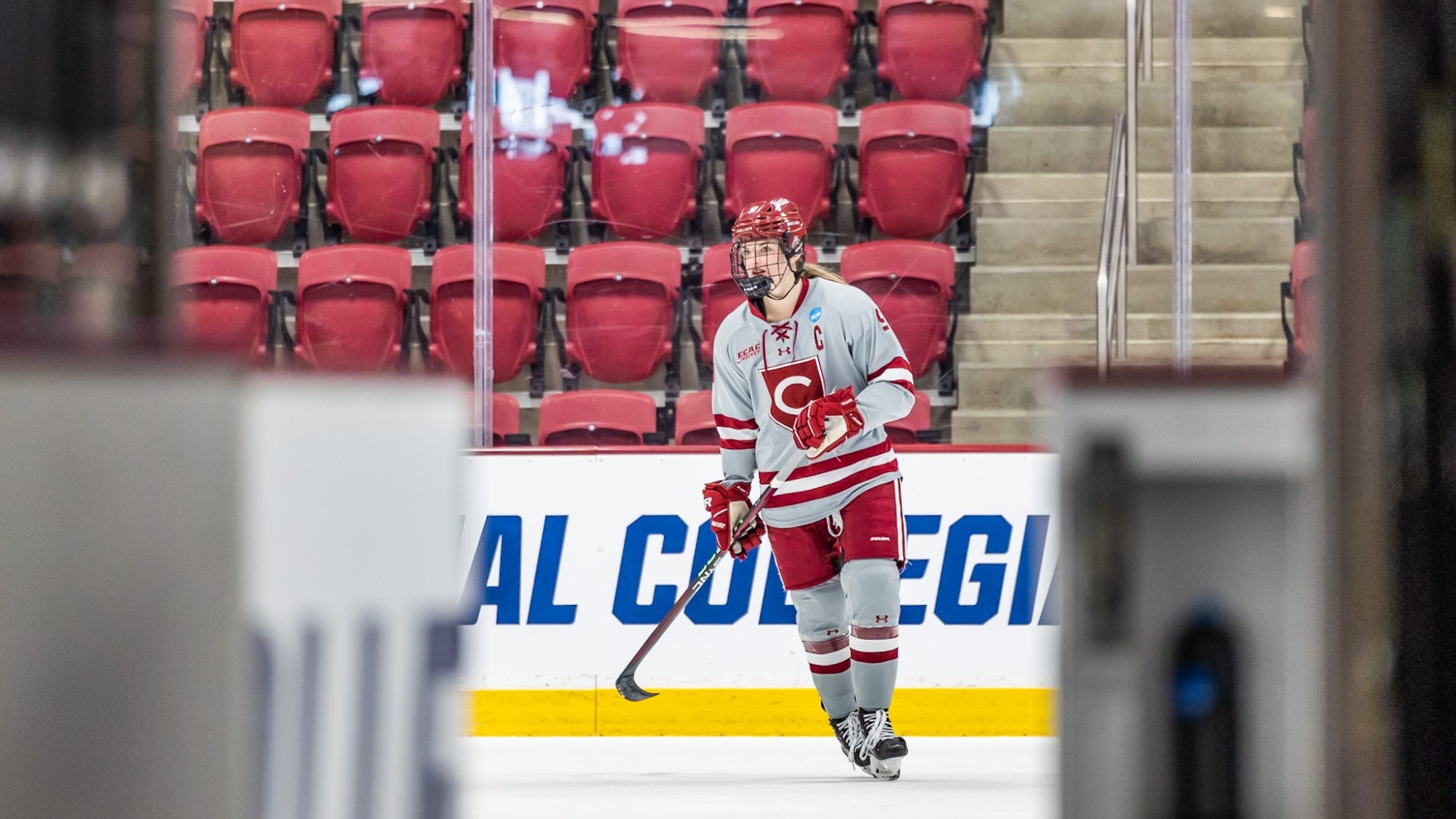 Danielle Serdachny - Women's Ice Hockey - Colgate University Athletics