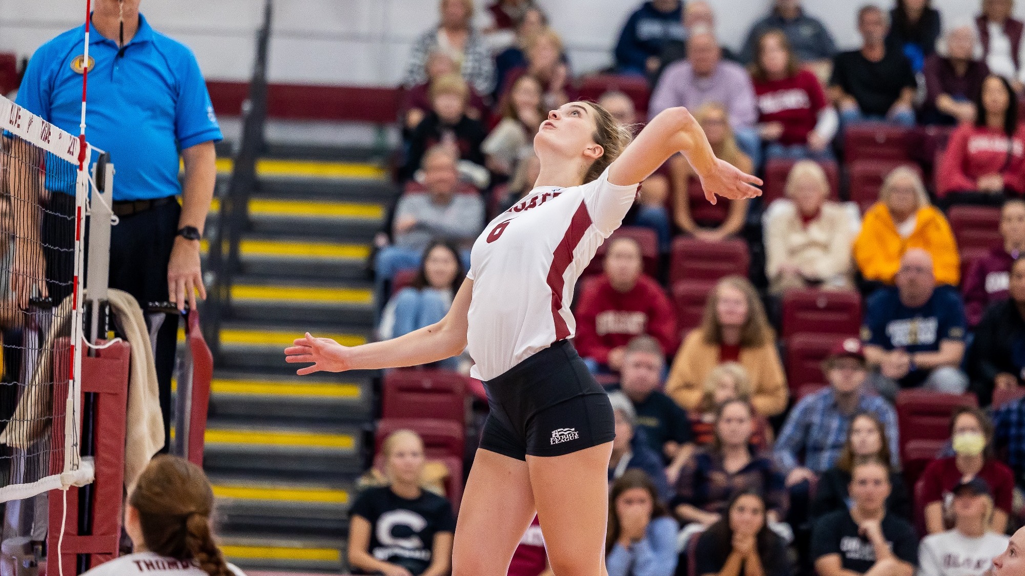 Gillian Hauschild - Volleyball - Colgate University Athletics
