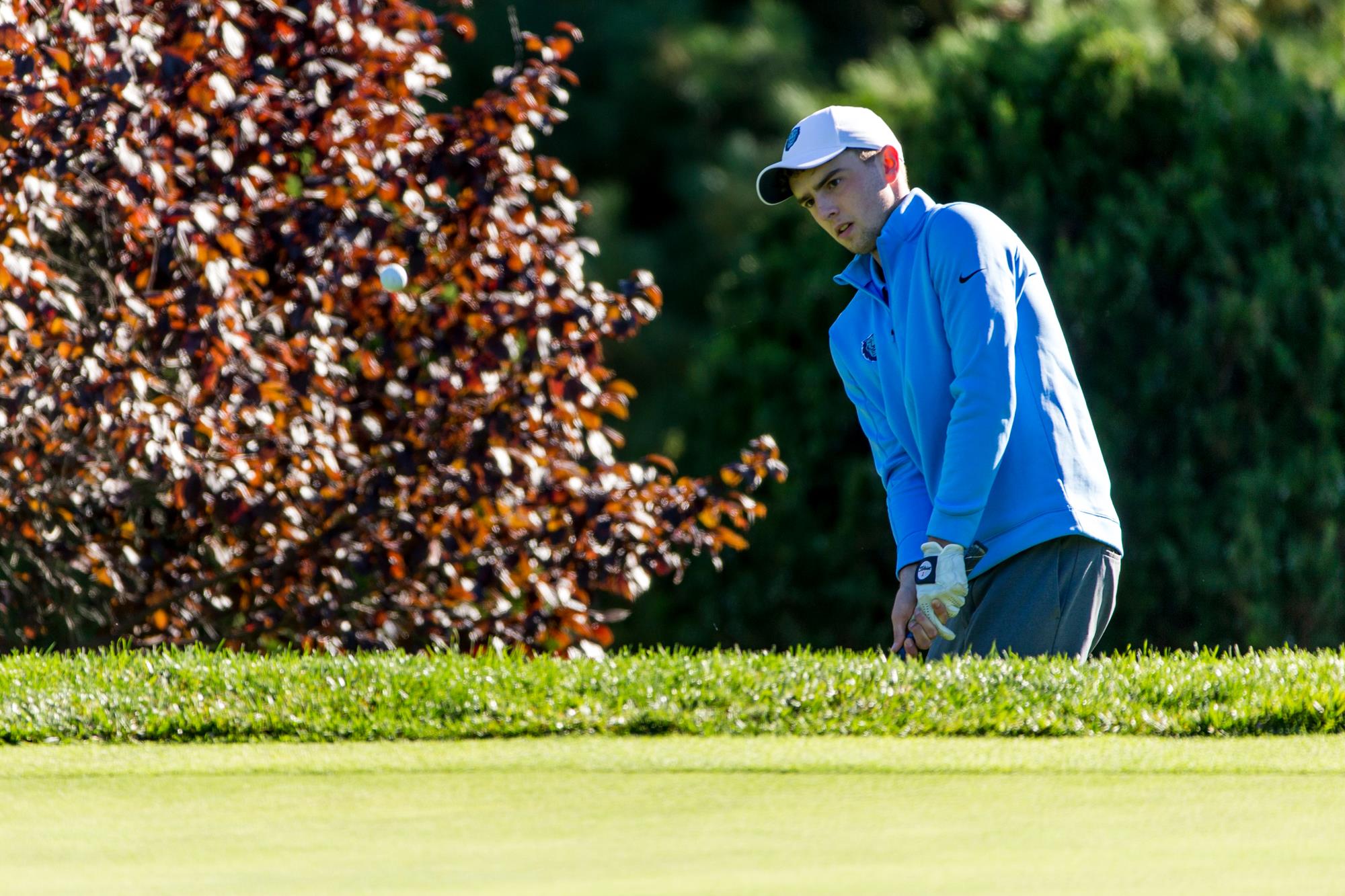 Dan Terrell - Men's Golf - Columbia University Athletics