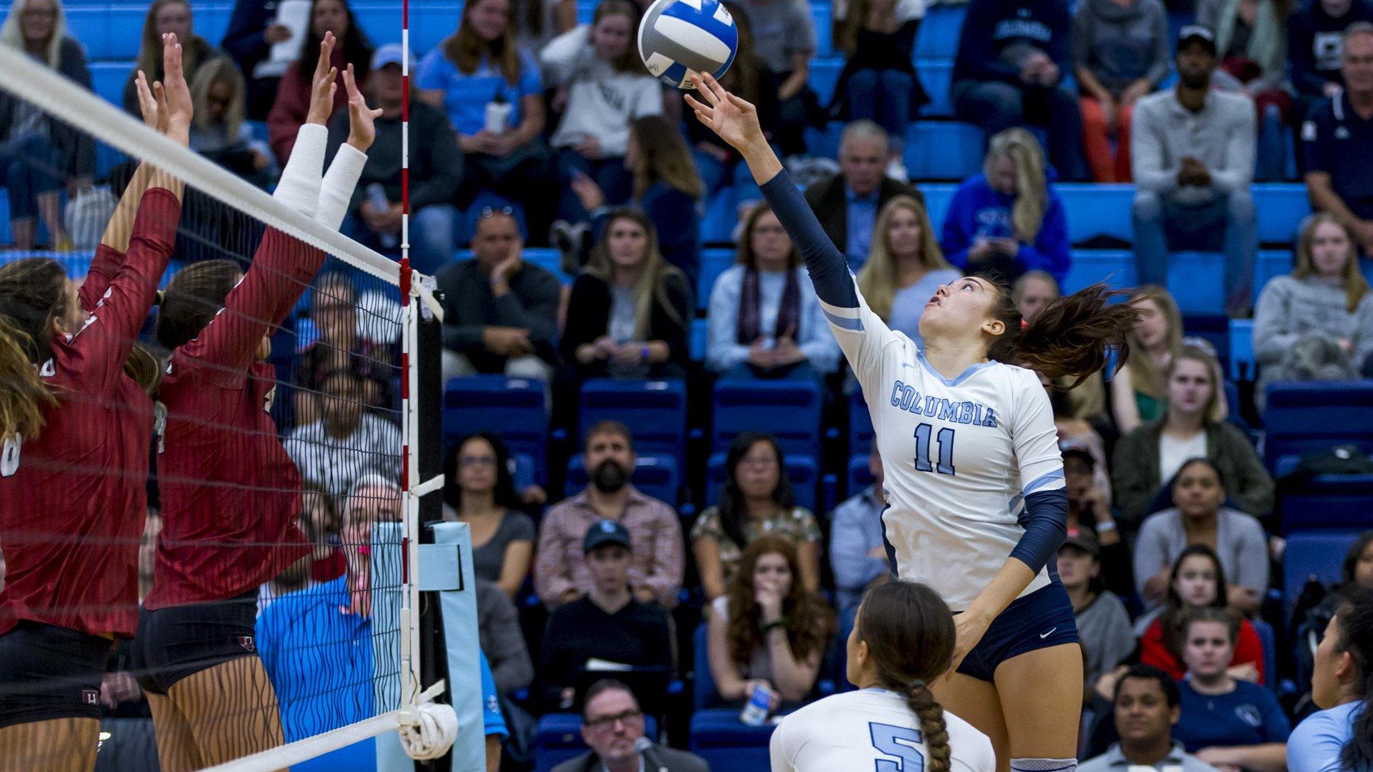 Noelle Foster - Volleyball - Columbia University Athletics